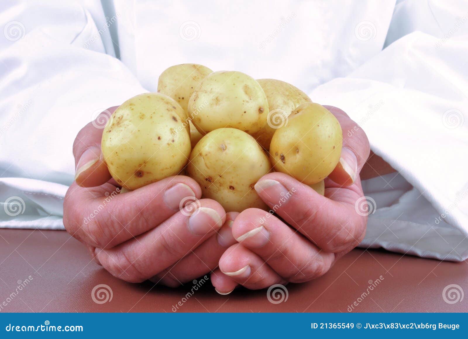Female Chef Holding Young Potatoes Stock Image - Image of female ...