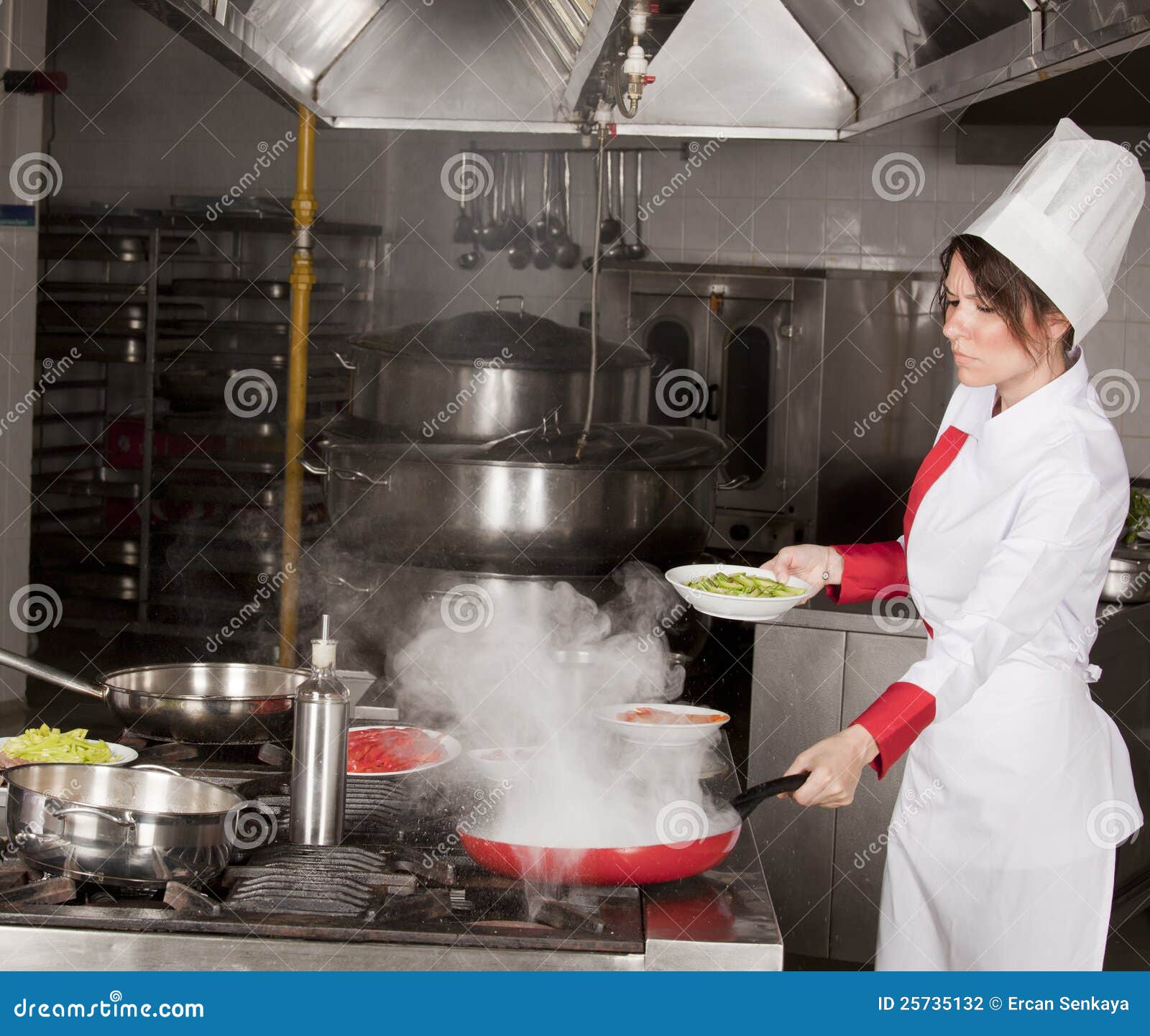 Female chef in kitchen stock photo. Image of happy, ethnicity - 25735132