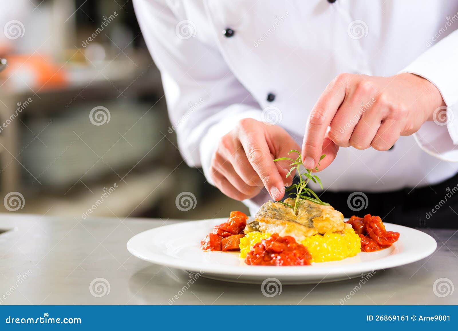 Female Chef In Restaurant Kitchen Cooking Stock Image - Image: 26869161