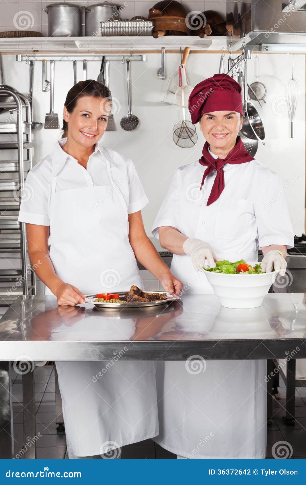 Female Chefs with Dishes at Kitchen Counter Stock Photo - Image of ...