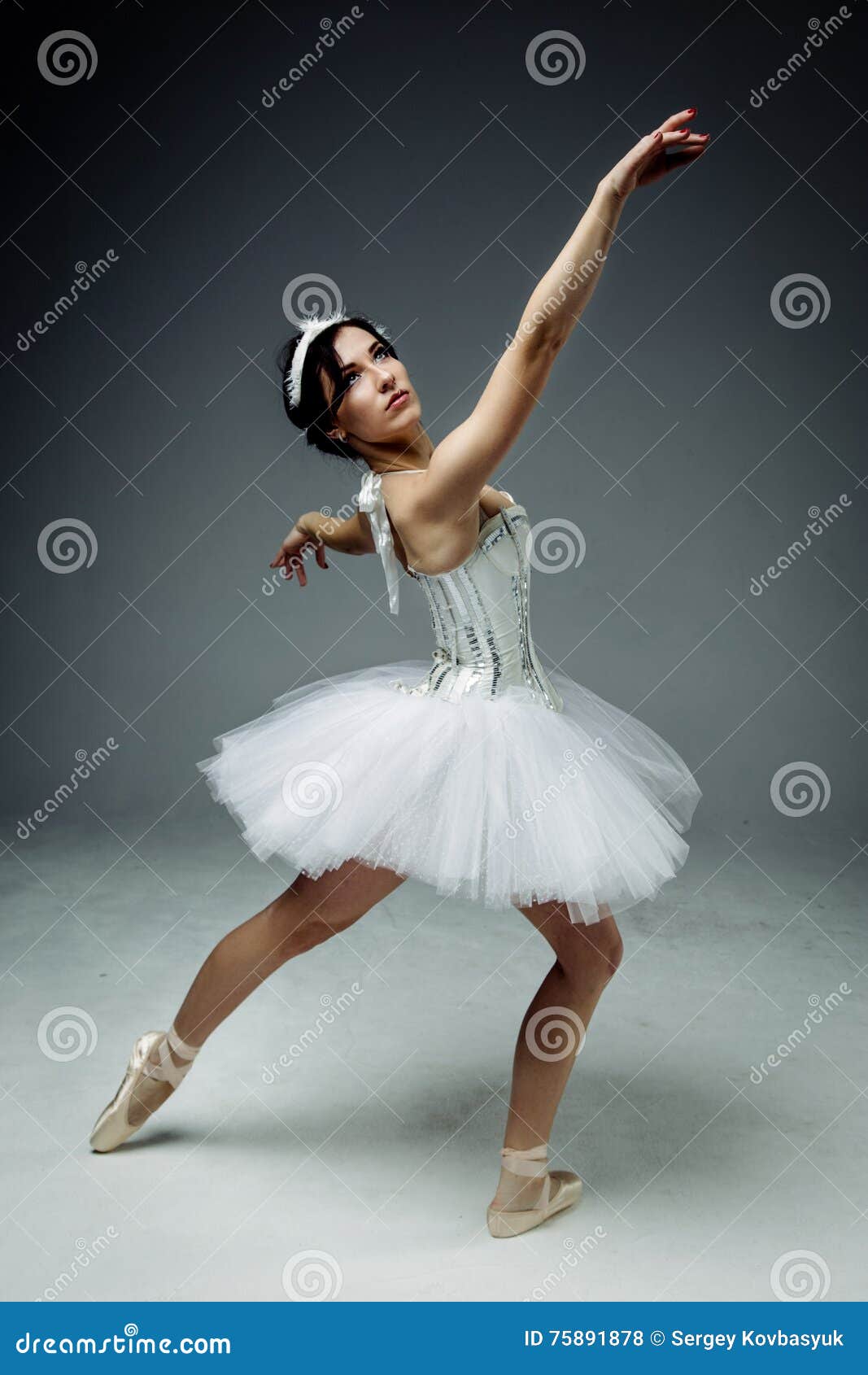 Female Classic Ballet Dancer Stock Photo - Image of choreography ...