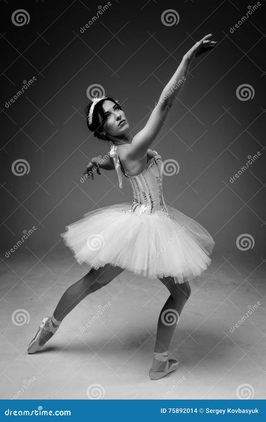 Female Classic Ballet Dancer Stock Photo - Image of graceful, ballerina ...