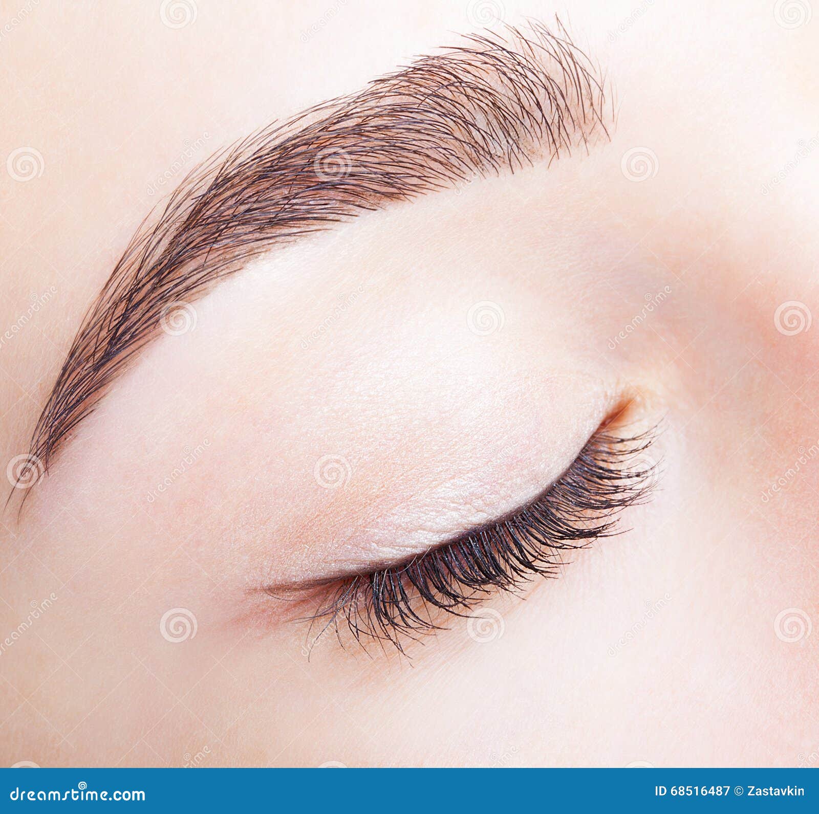 Female Closed Eye and Brows with Day Makeup Stock Image - Image of ...