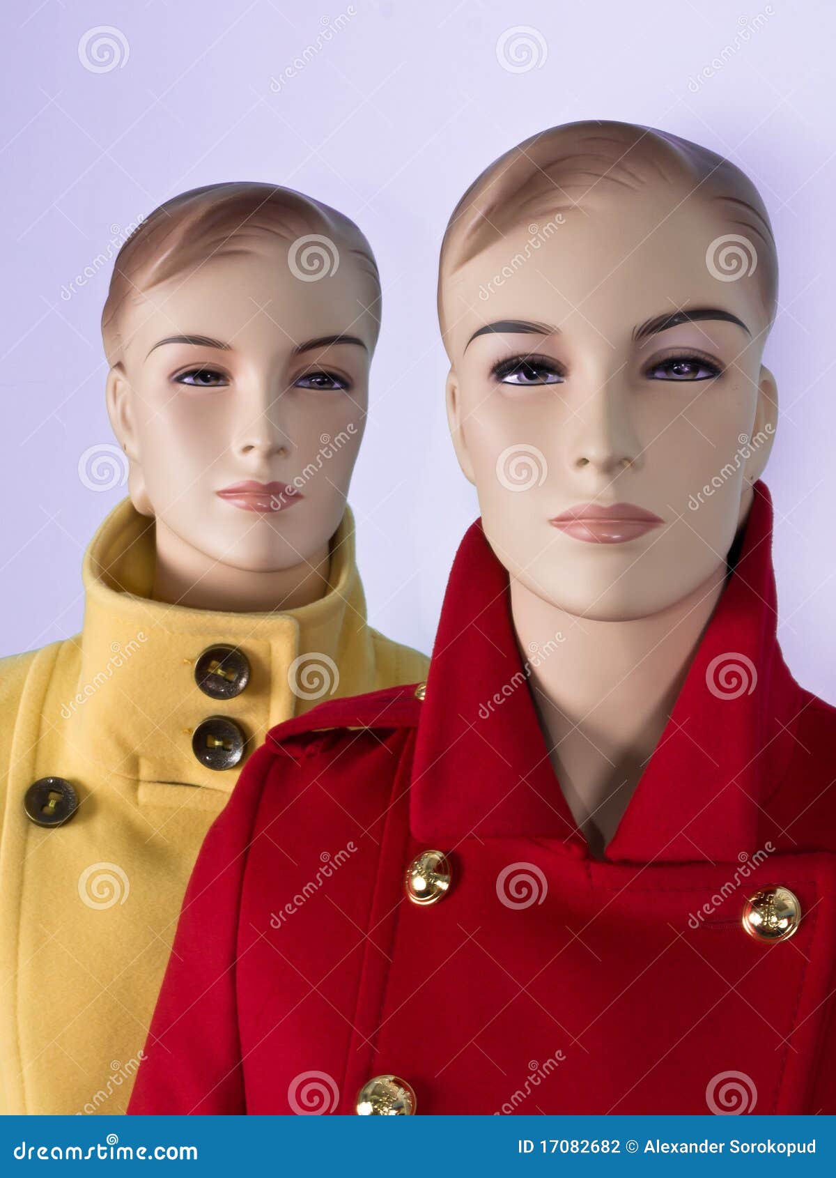 Female cloth details stock photo. Image of glamor, elegant - 17082682