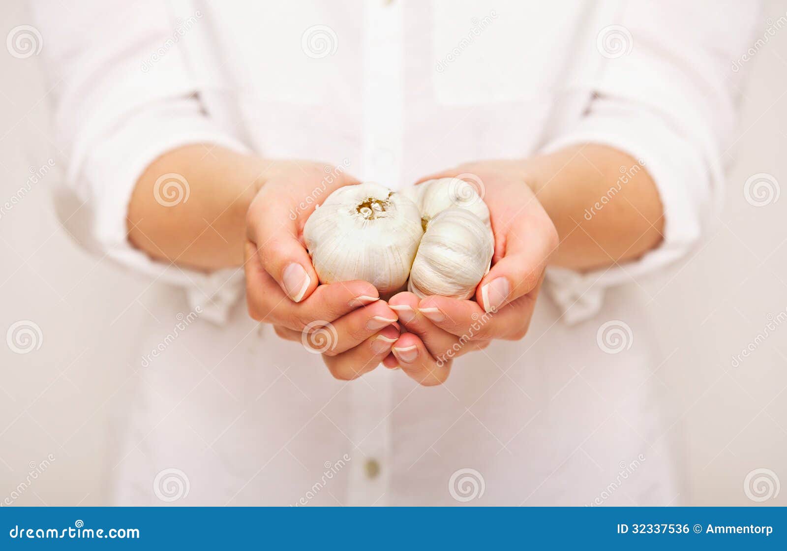 Female with Cloves of Garlic in Hands Stock Photo - Image of hand ...