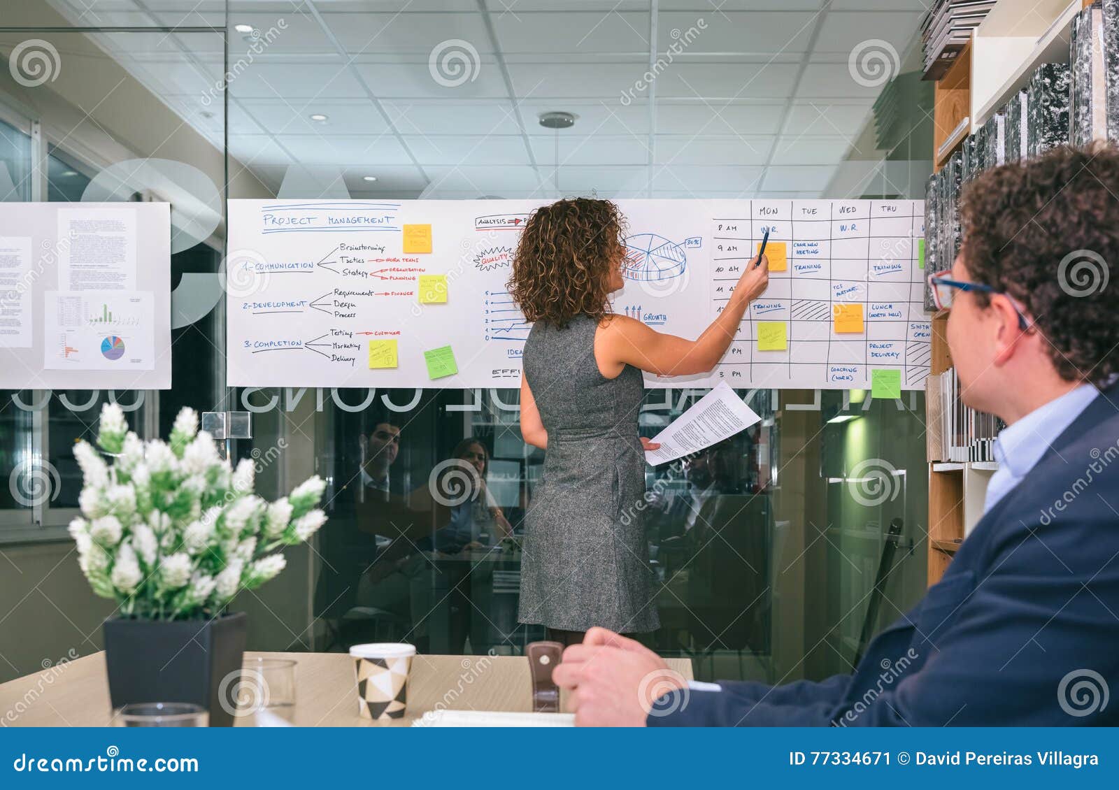 Female Coach Explaining Project Management Studies Over Glass Wall ...