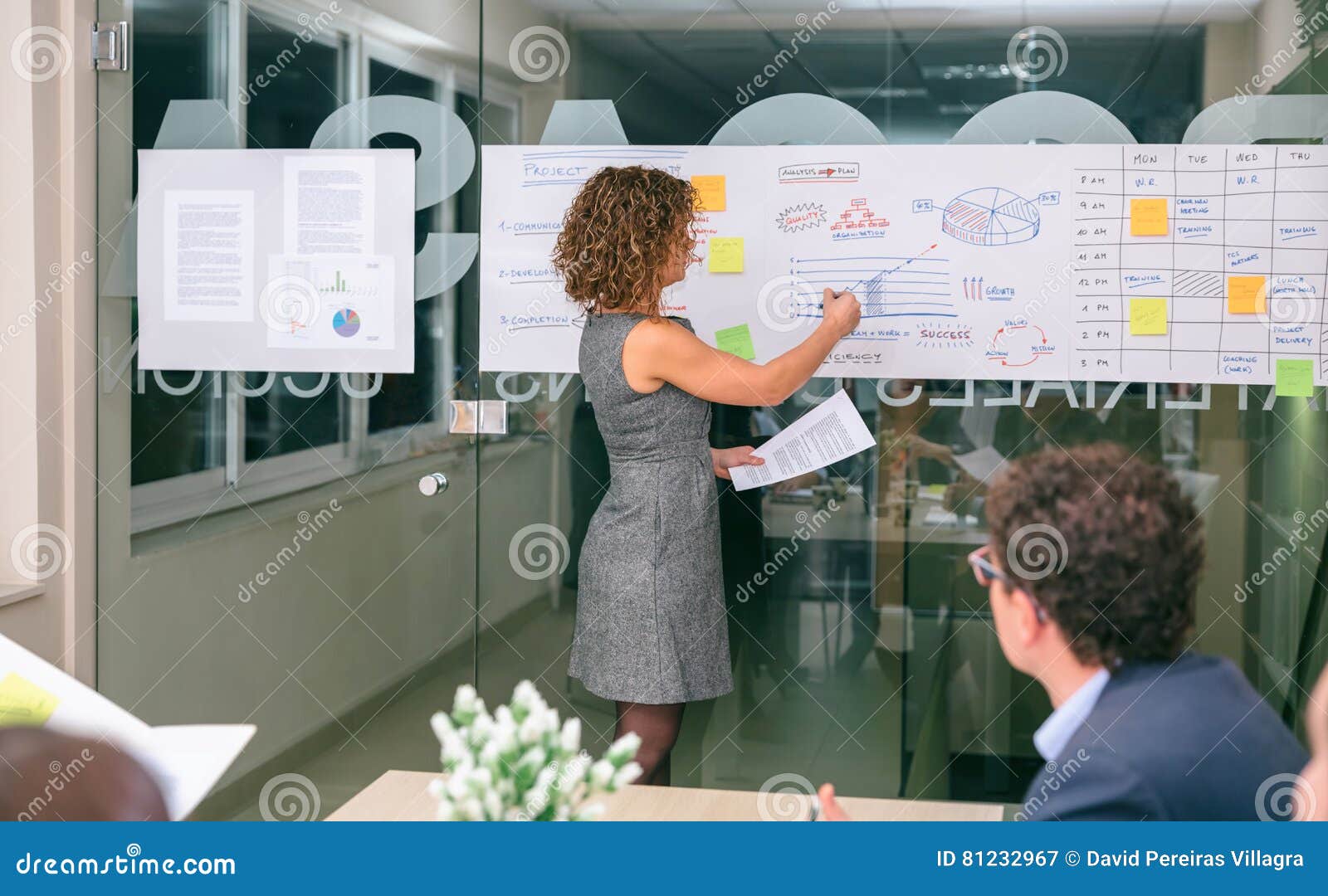 Female Coach Explaining Project Management Studies Over Glass Wall ...