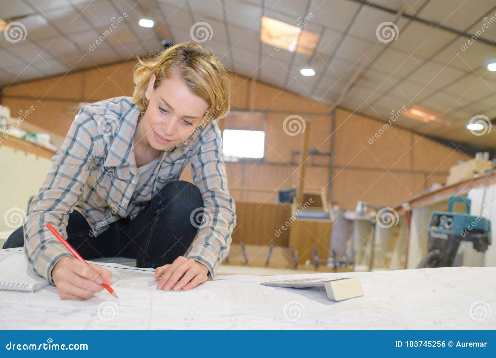 Female Craftsman Checking Plan Stock Photo - Image of level ...