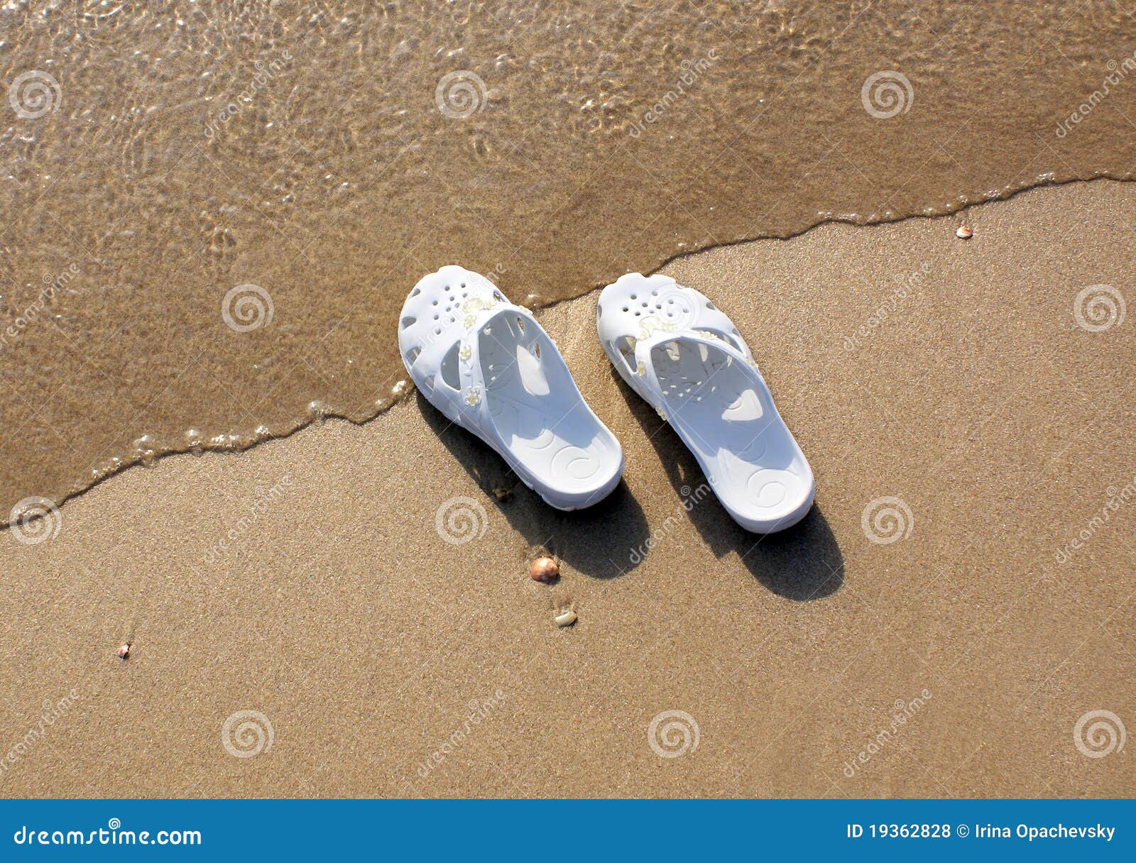 Female Crocs stock photo. Image of surf, water, shell - 19362828