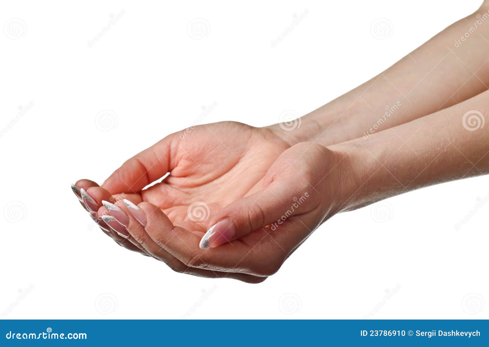 Female cupped hands stock photo. Image of ideas, background - 23786910