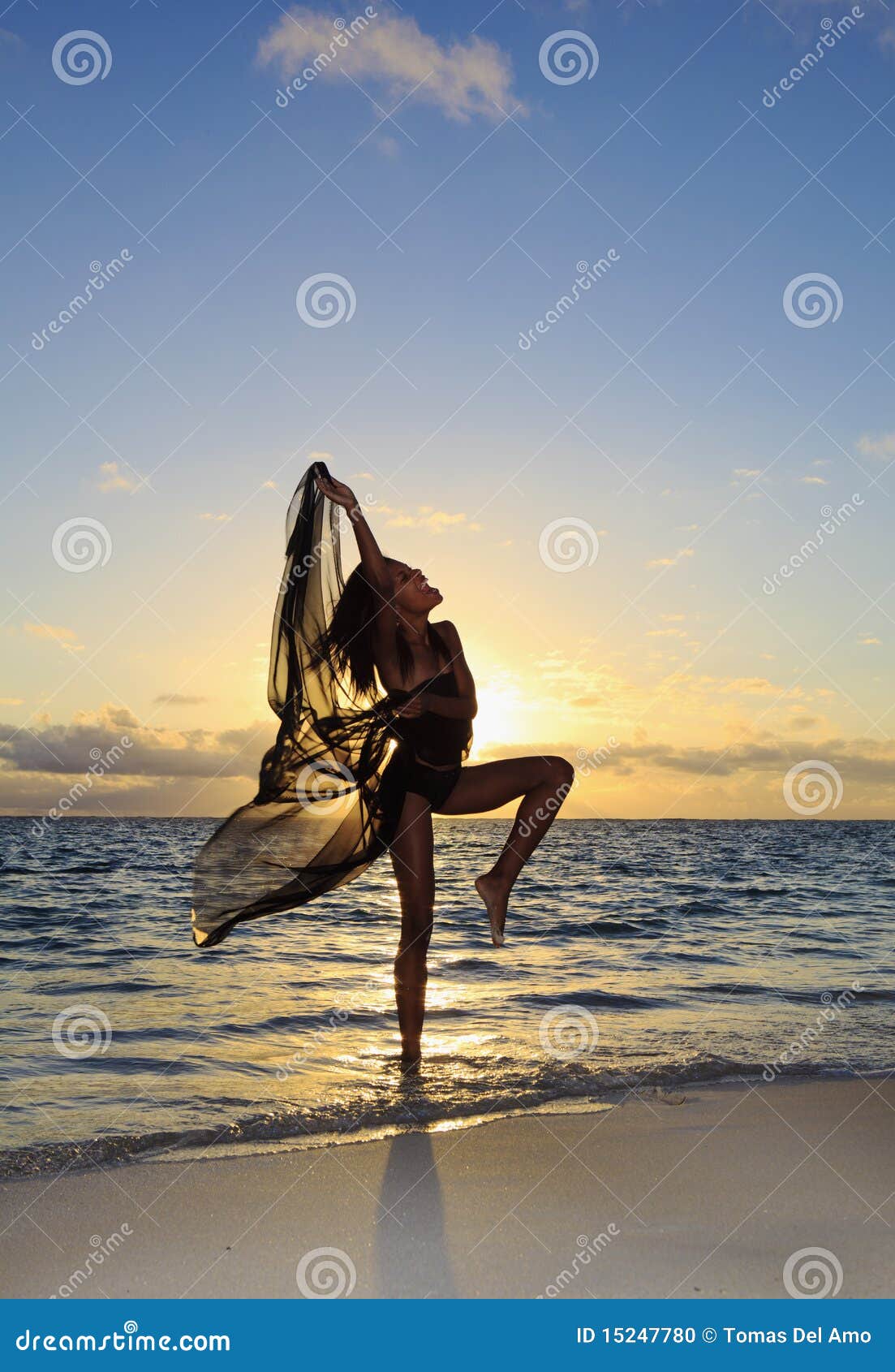 Female Dancer Standing in the Ocean Stock Photo - Image of person ...