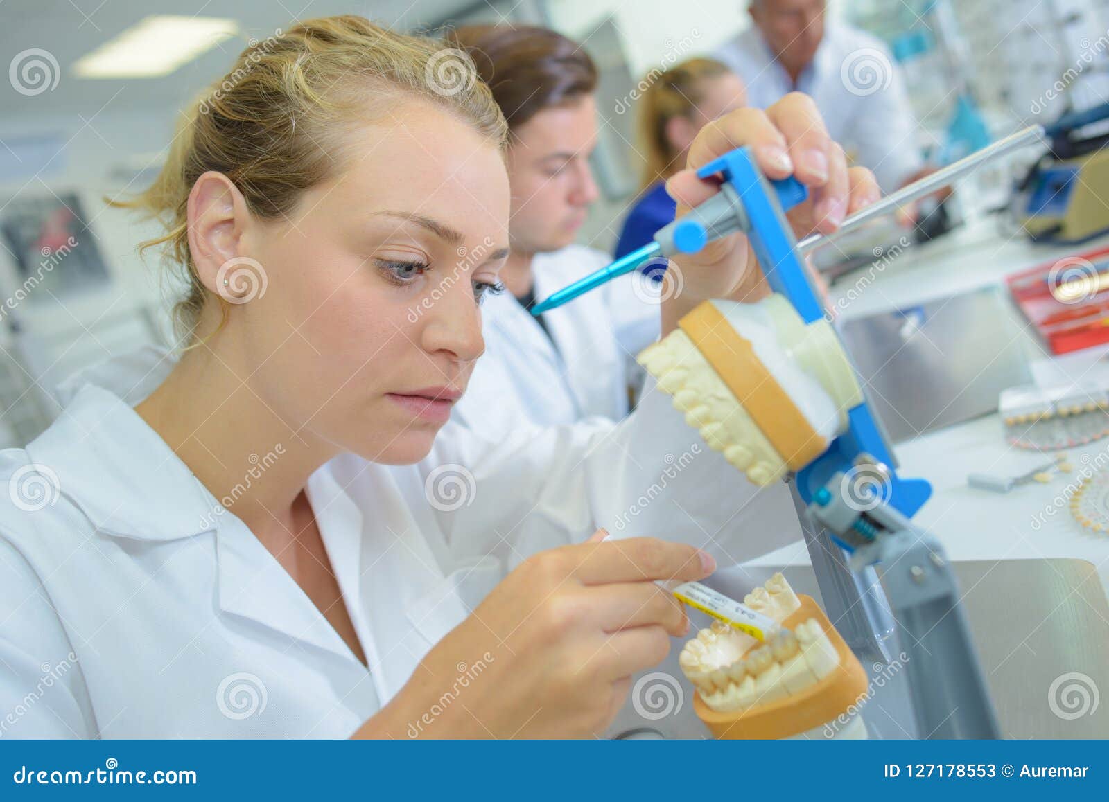 Female Dental Technician at Work Stock Image - Image of dental, print ...