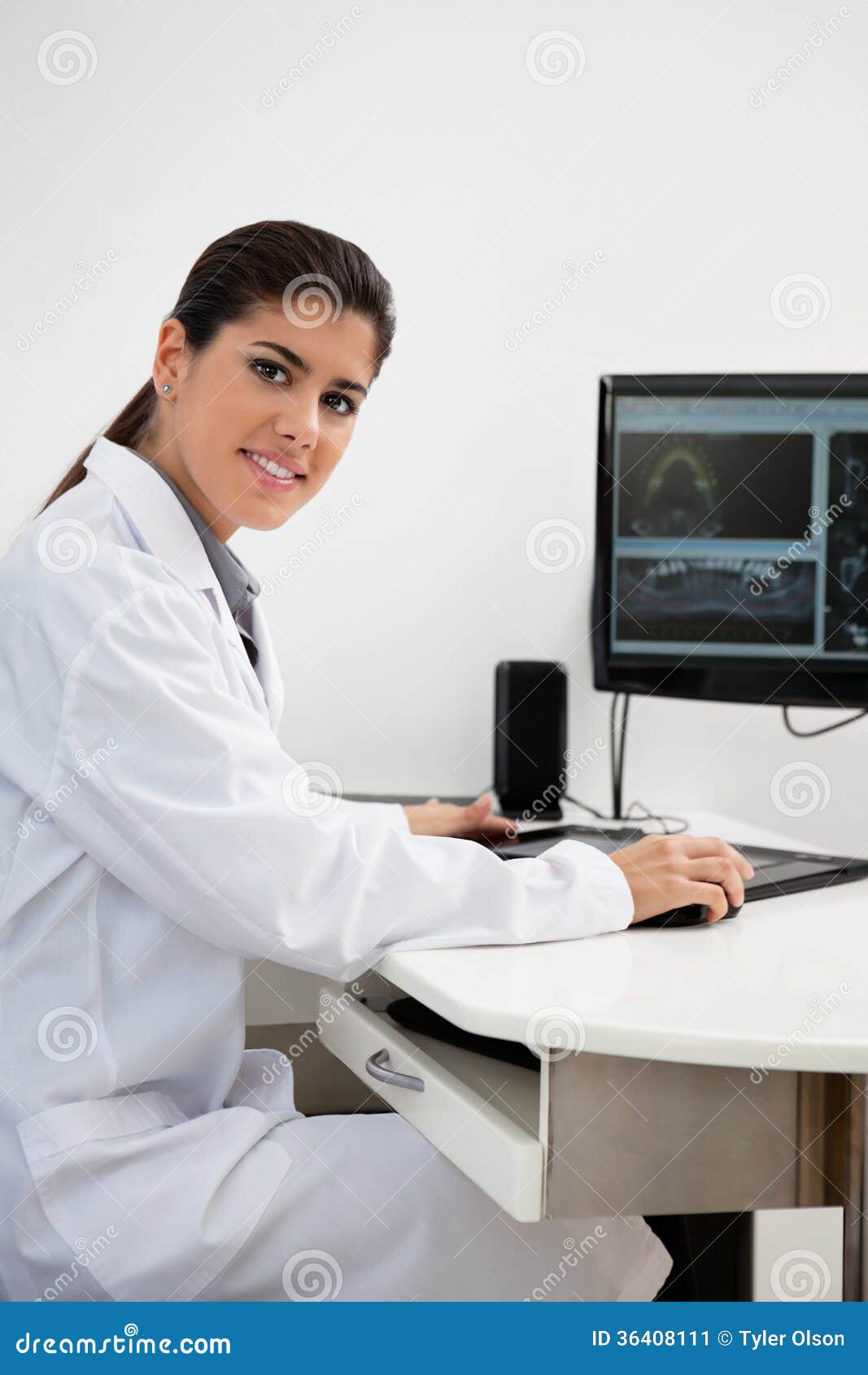 Female Dentist Working on Computer Stock Image - Image of female ...