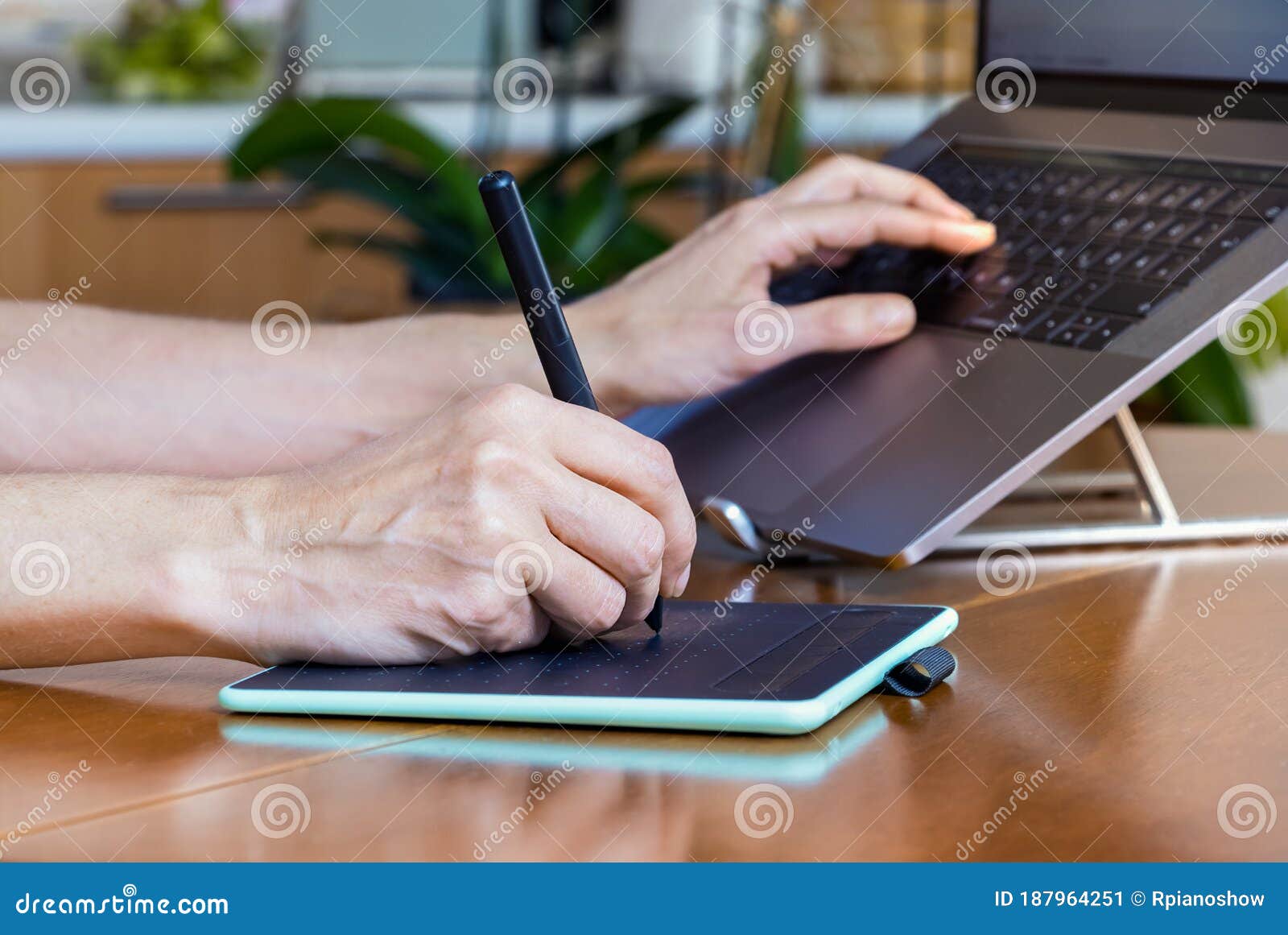 Female Designer Hands Using a Drawing Graphics Tablet and a Laptop ...