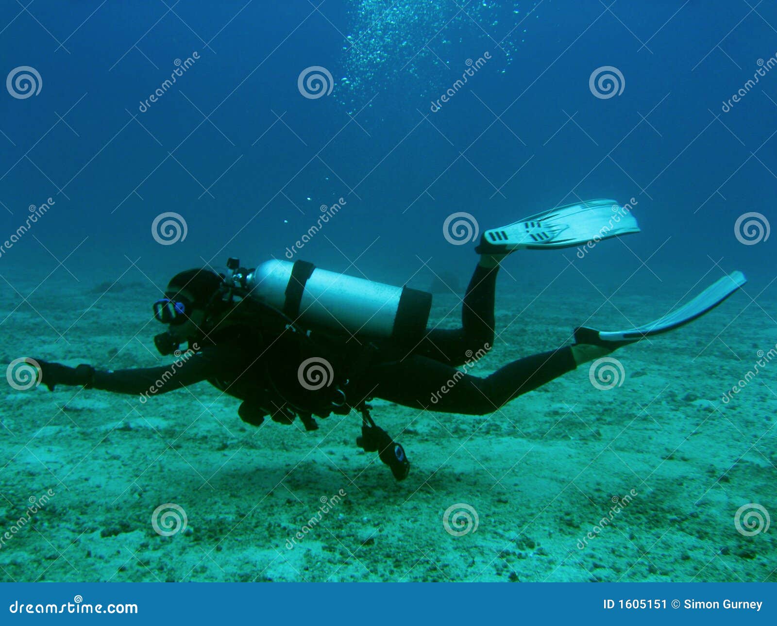Female Dive Master Pointing Underwater Stock Image | CartoonDealer.com ...