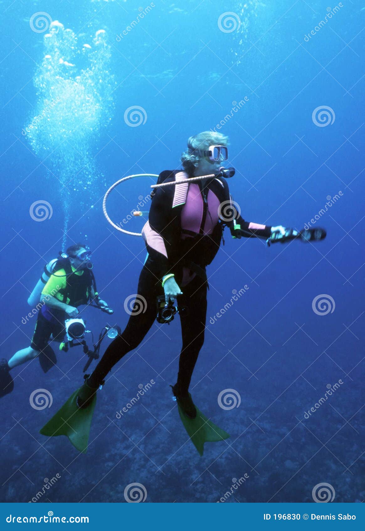 Female Diver Surfacing stock photo. Image of vacation, sport - 196830
