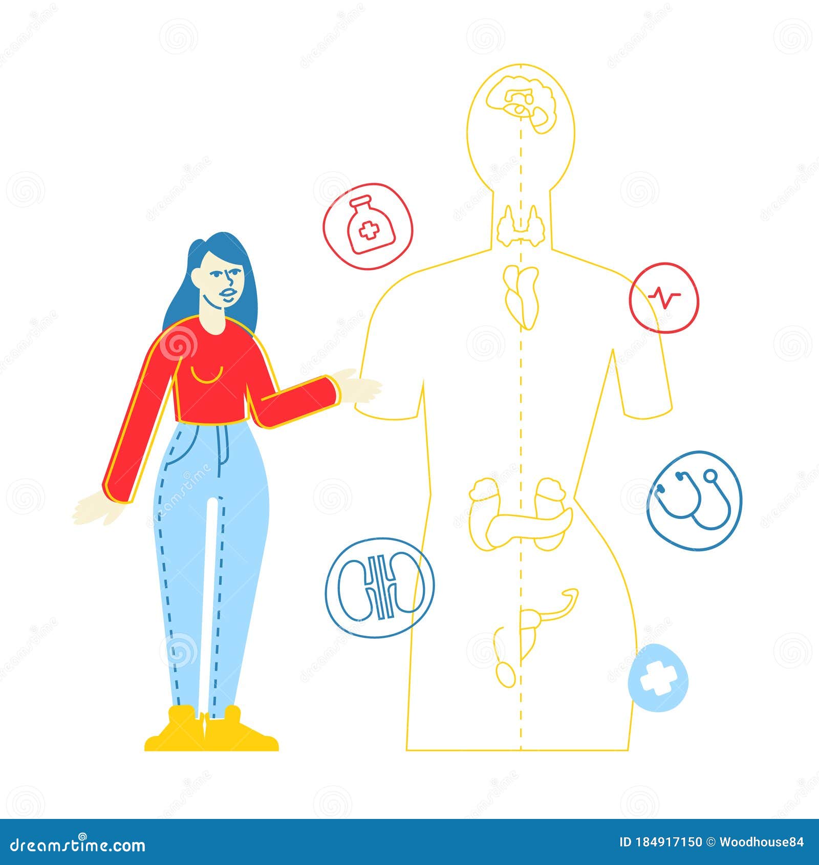 Female Doctor Character Endocrinologist Stand At Huge Endocrine