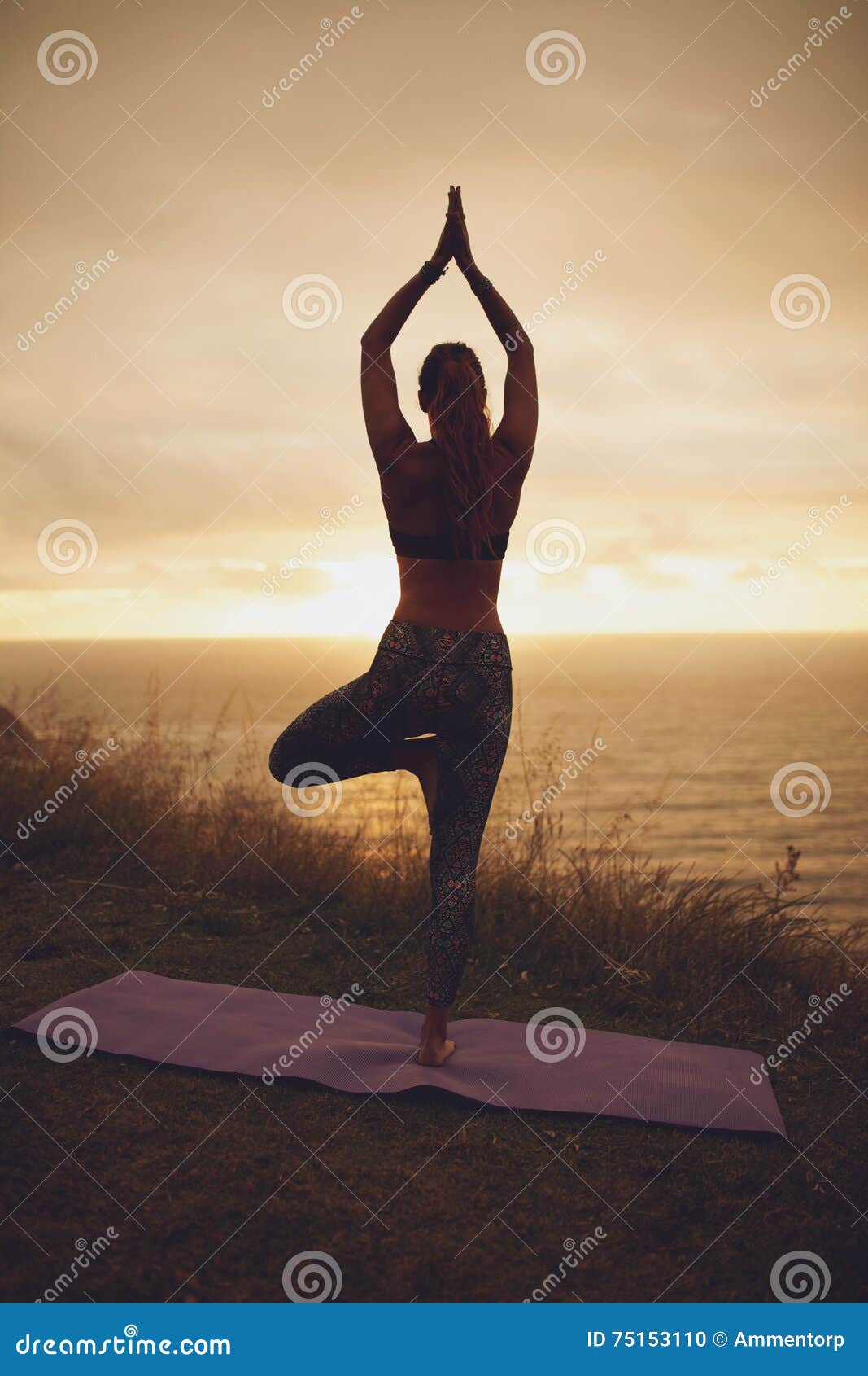 Female Doing Tree Pose Yoga on the Cliff Stock Photo - Image of ...