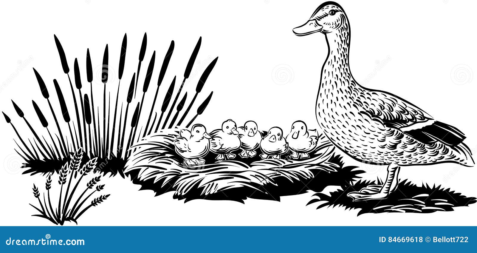 Female duck with chicks. stock illustration. Illustration of bird ...