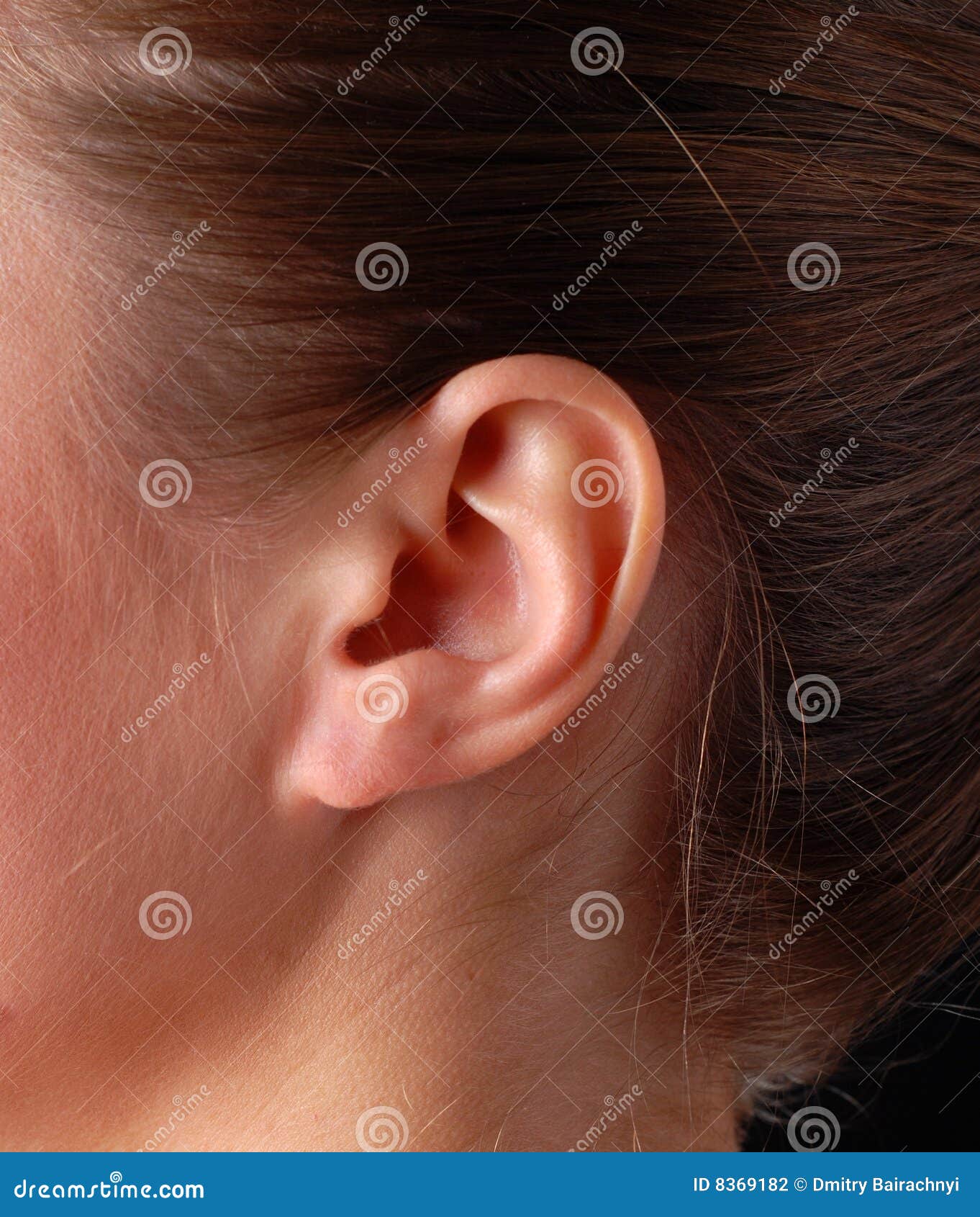 Female ear stock photo. Image of hair, women, ears, female - 8369182