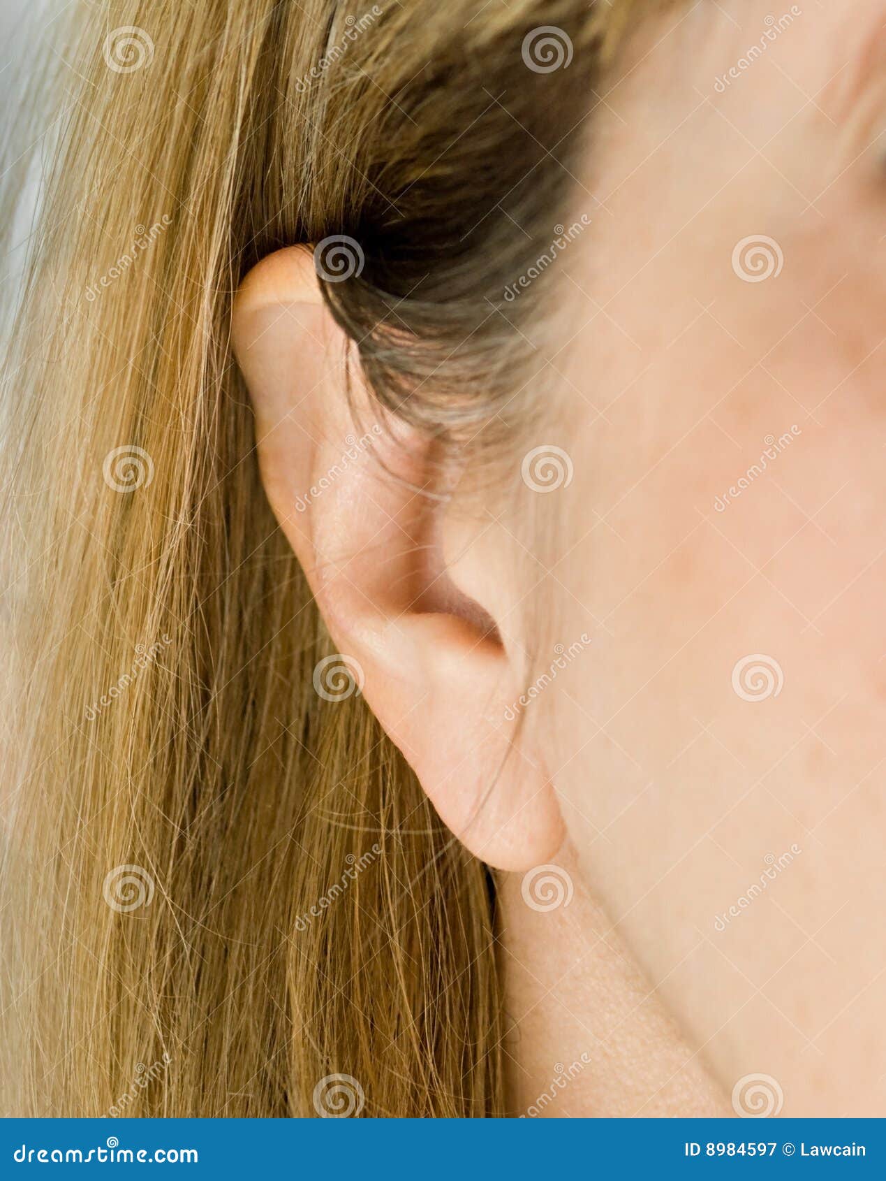 Female Ear stock image. Image of anatomy, hair, auricula - 8984597