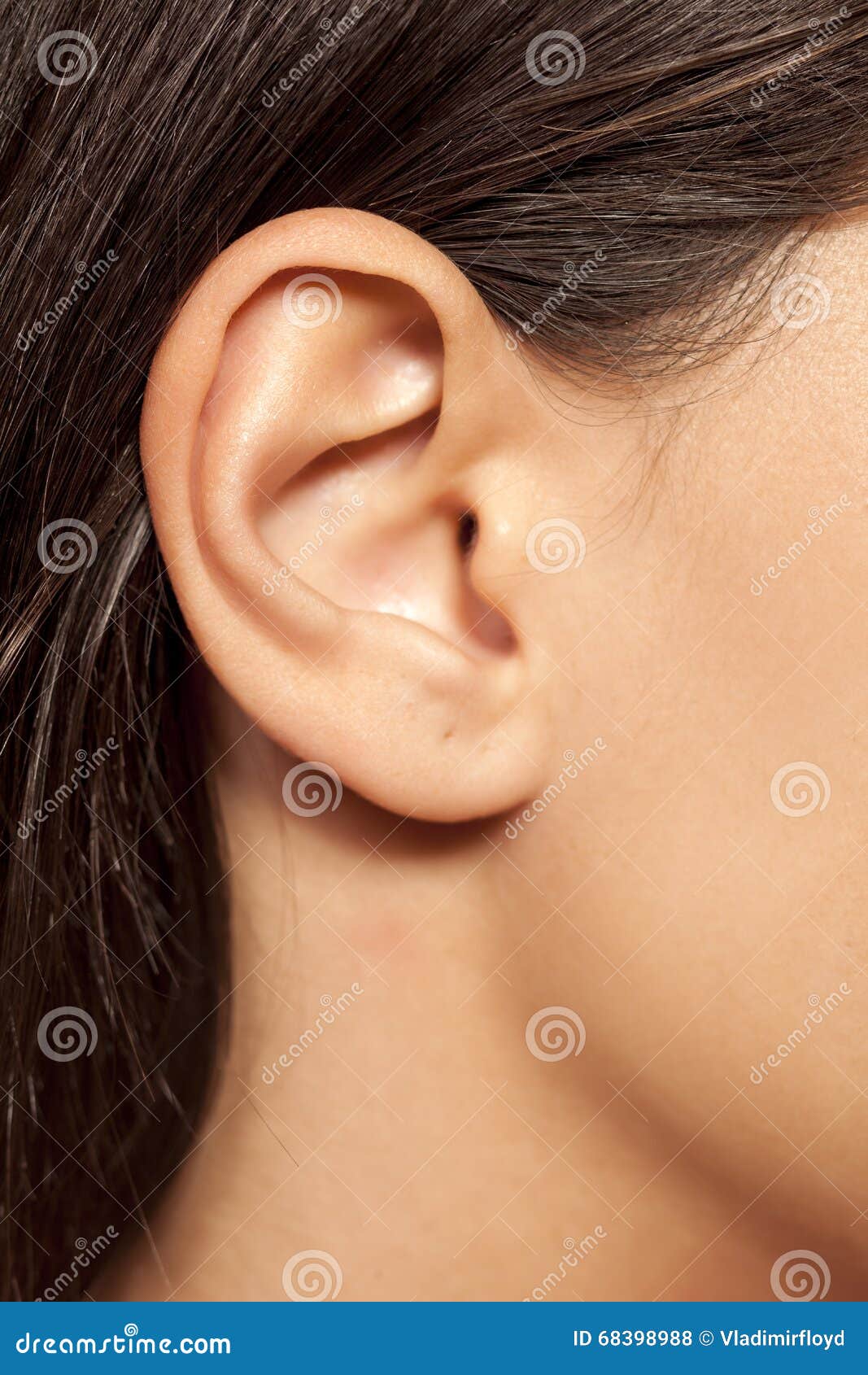 Female ear stock photo. Image of color, attention, closeup - 68398988