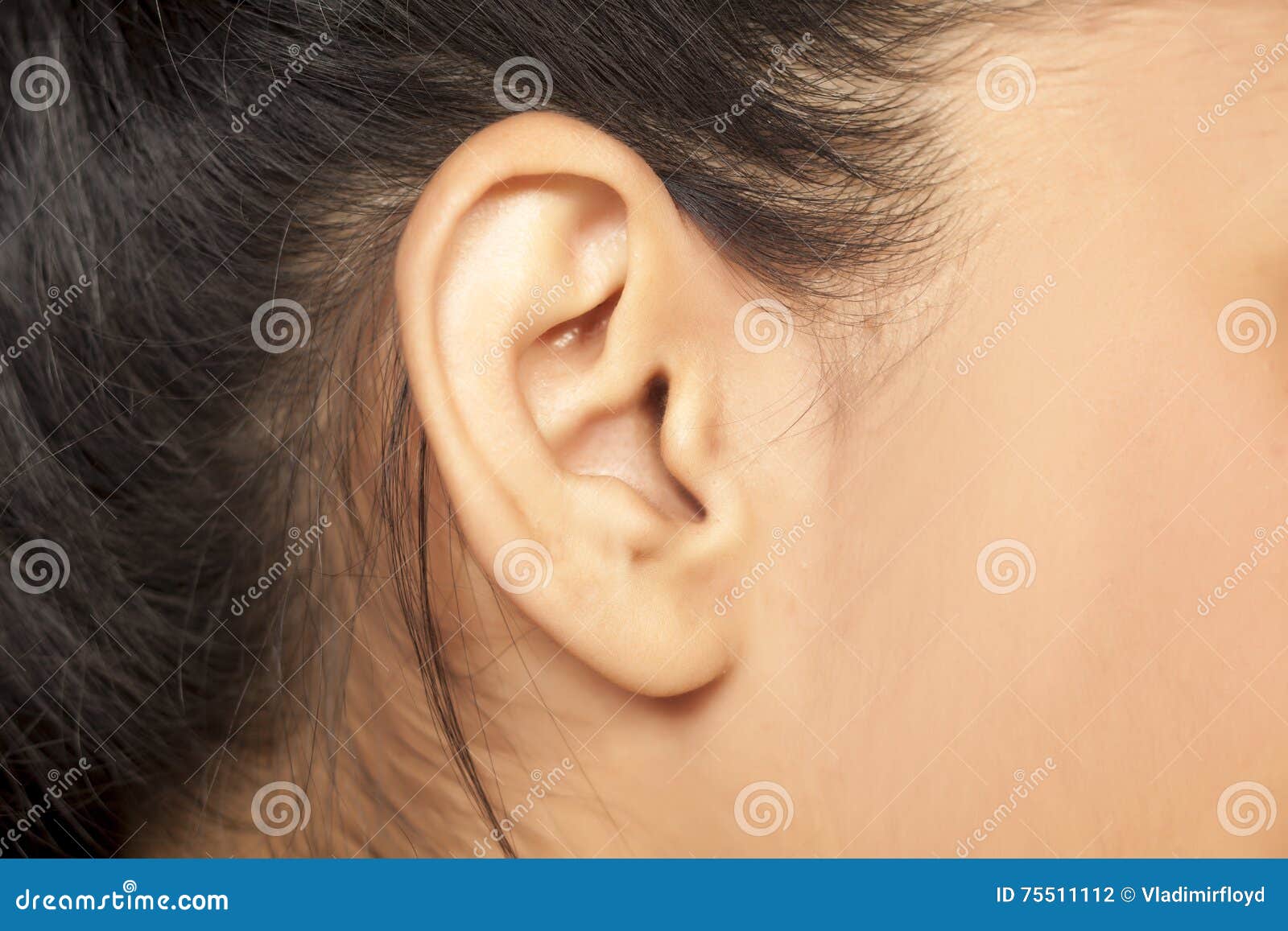 Female ear stock photo. Image of complexion, human, profile - 75511112