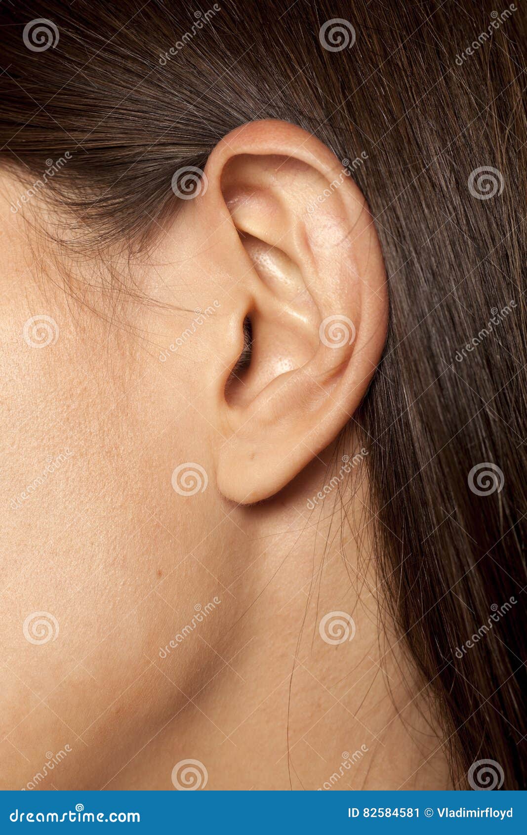 Female ear and hair stock image. Image of girl, earlobe - 82584581