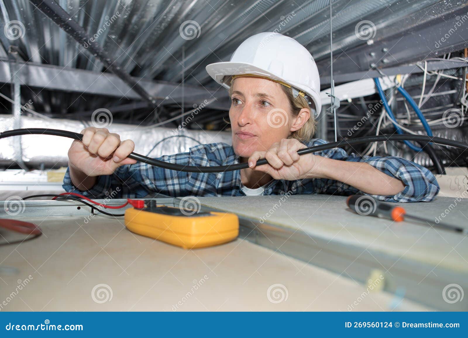 Female Electrician Installing Electric Device in Ceiling Stock Photo ...