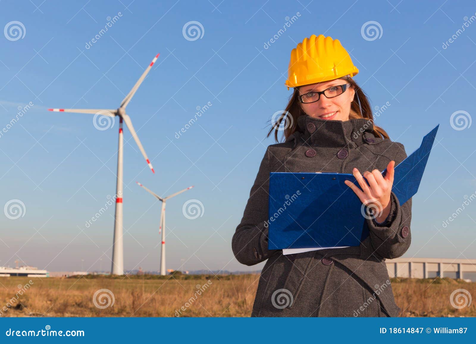 Female Engineer stock image. Image of environmental, portrait - 18614847