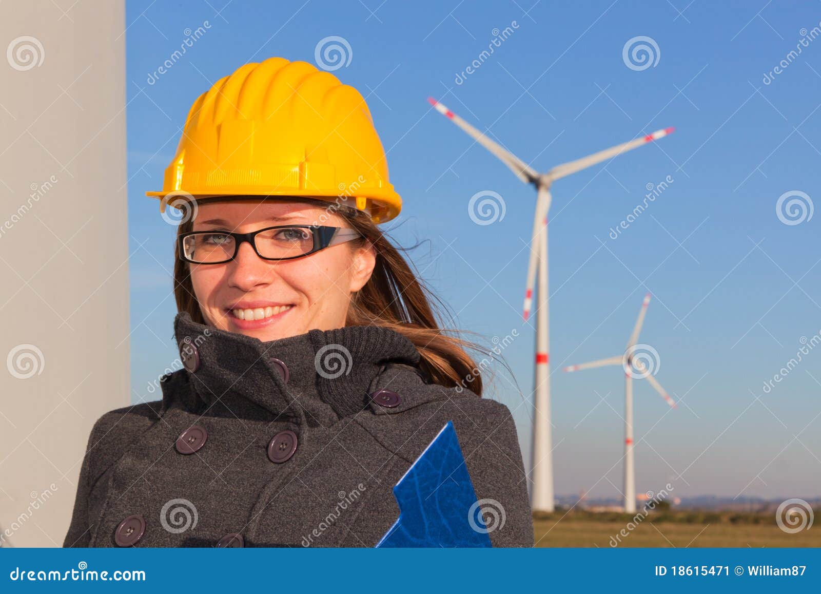 Female Engineer stock image. Image of people, consulting - 18615471