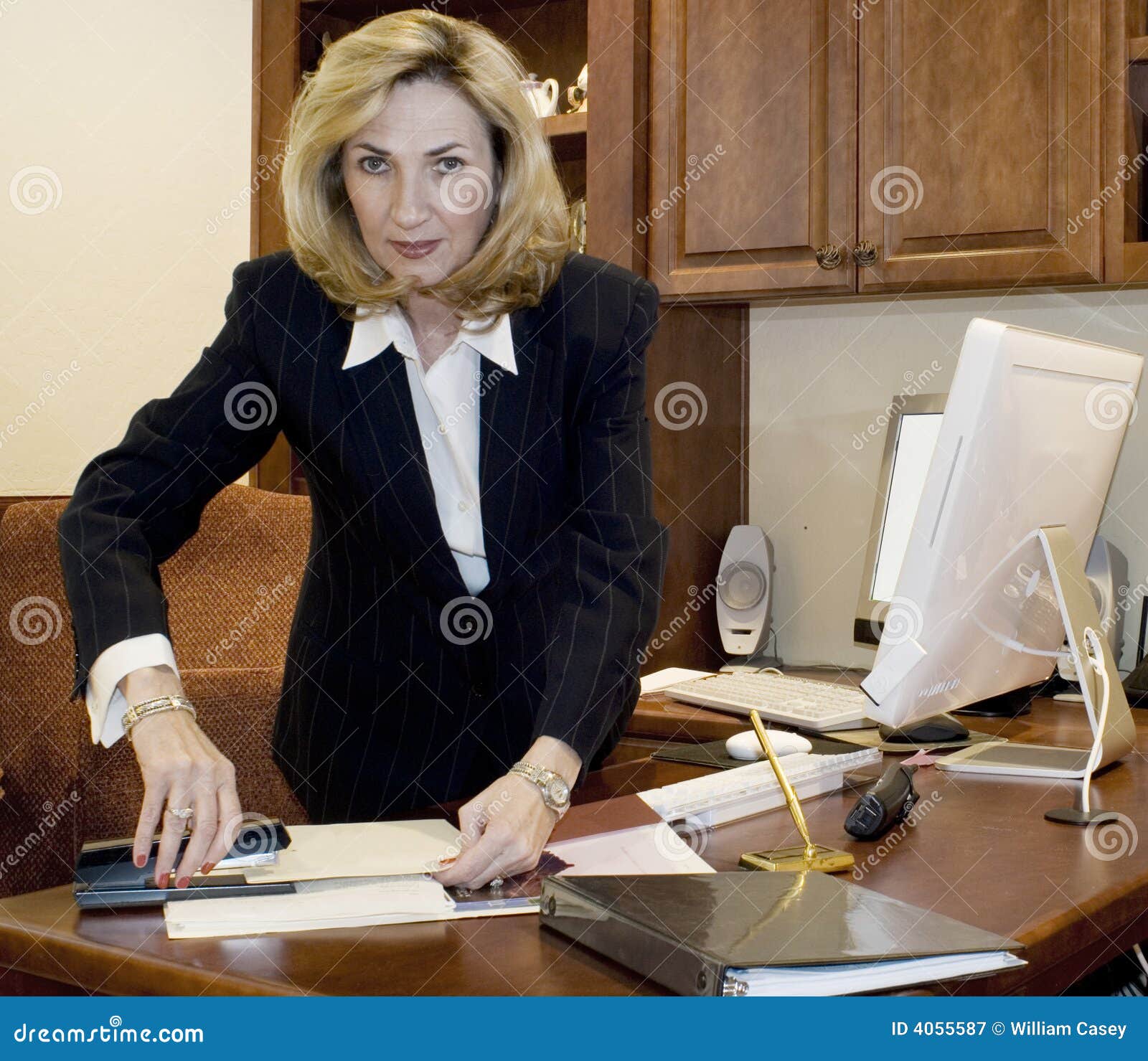 Female executive stock image. Image of solicitor, document - 4055587