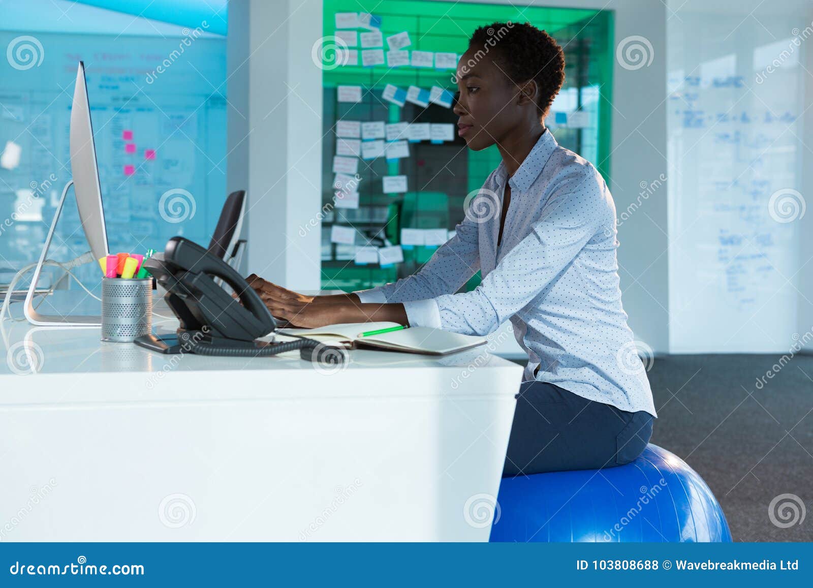 Female Executive Working on Computer at Desk Stock Photo - Image of ...