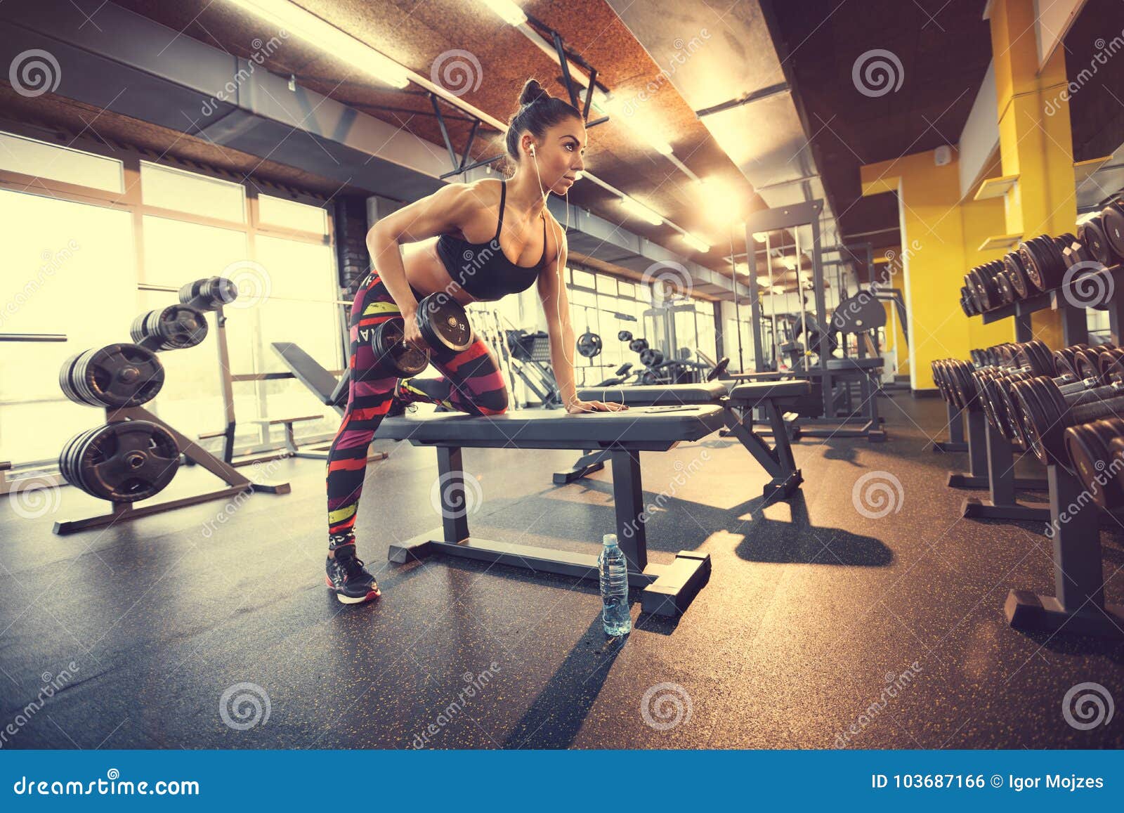 Female Exercising in Gym with Dumbbell Stock Photo - Image of equipment ...