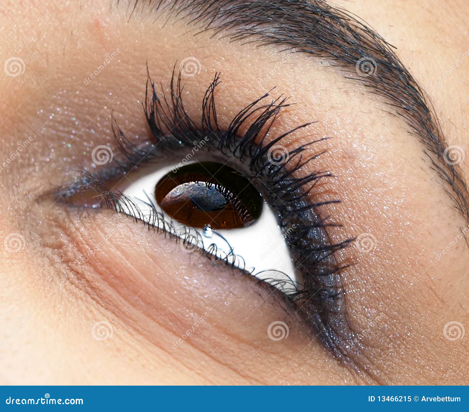 Female eye stock image. Image of eyelid, girl, looking - 13466215