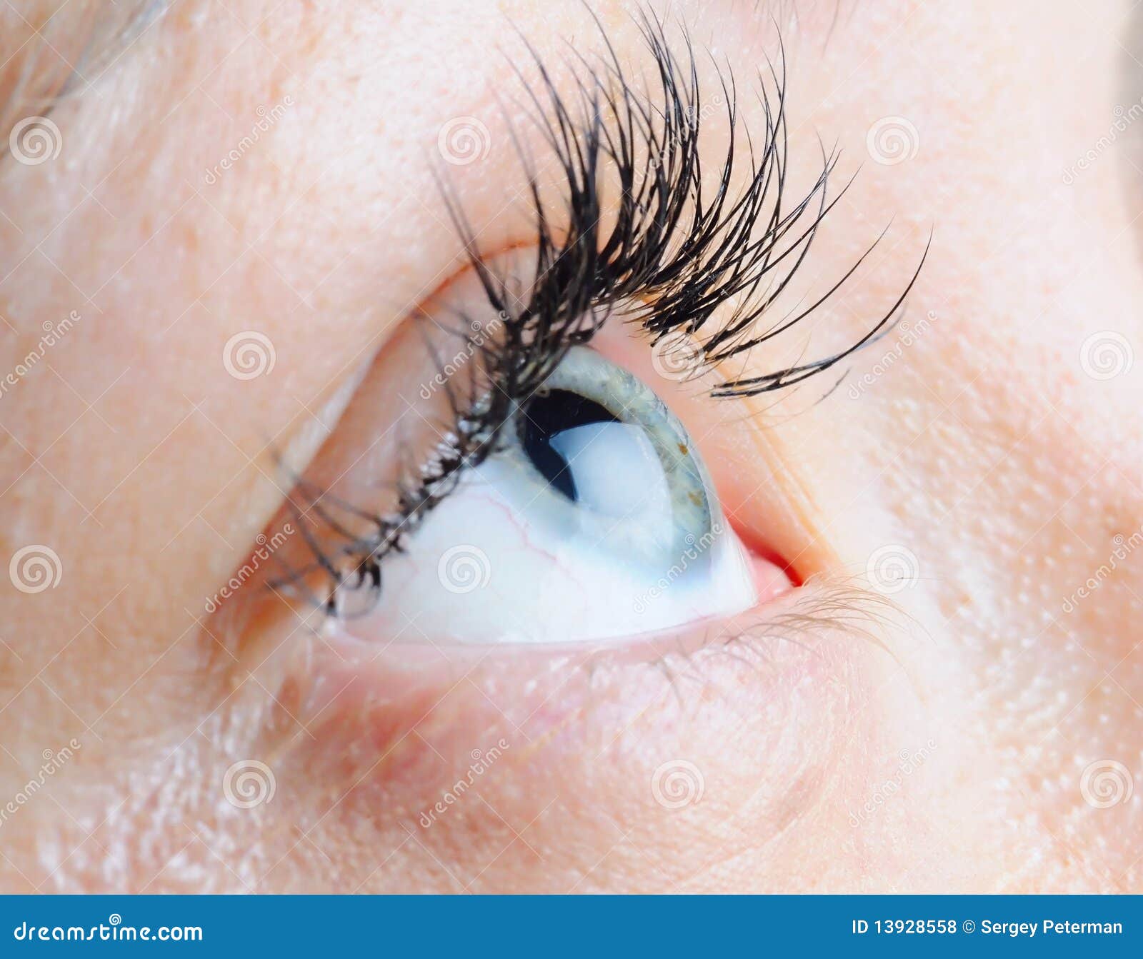 Female eye stock photo. Image of open, caucasian, feminine - 13928558
