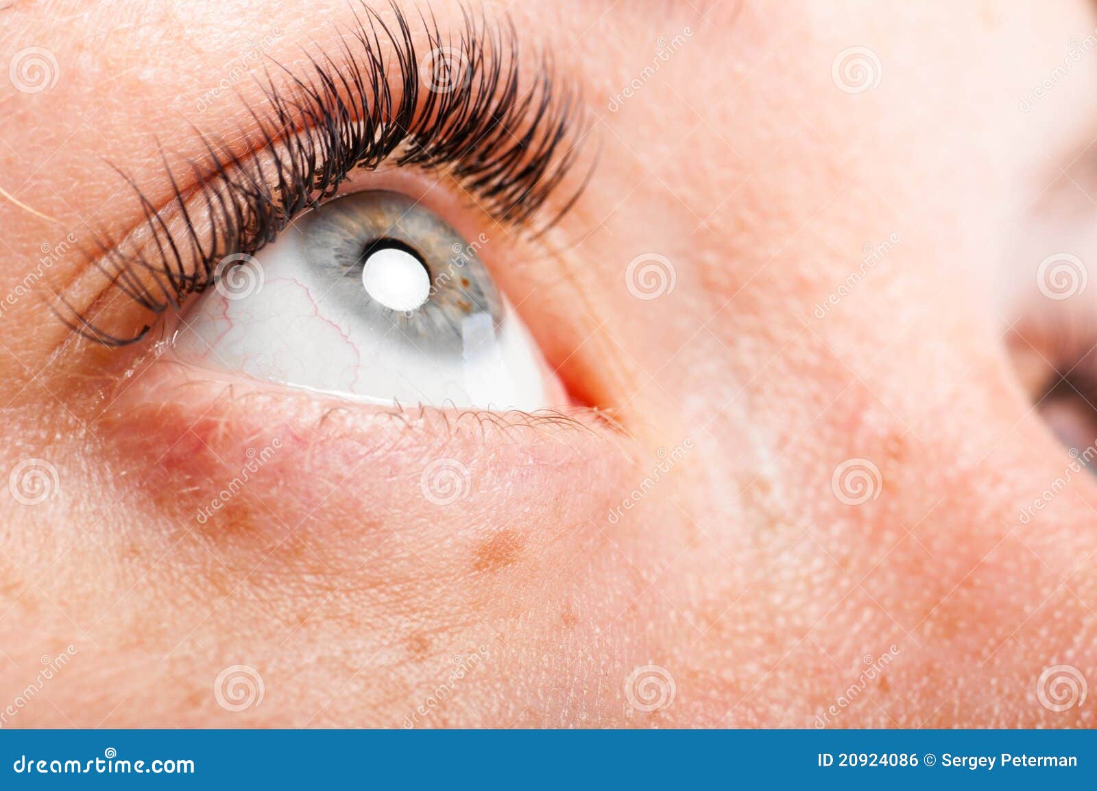 Female eye stock photo. Image of people, healthy, glance - 20924086
