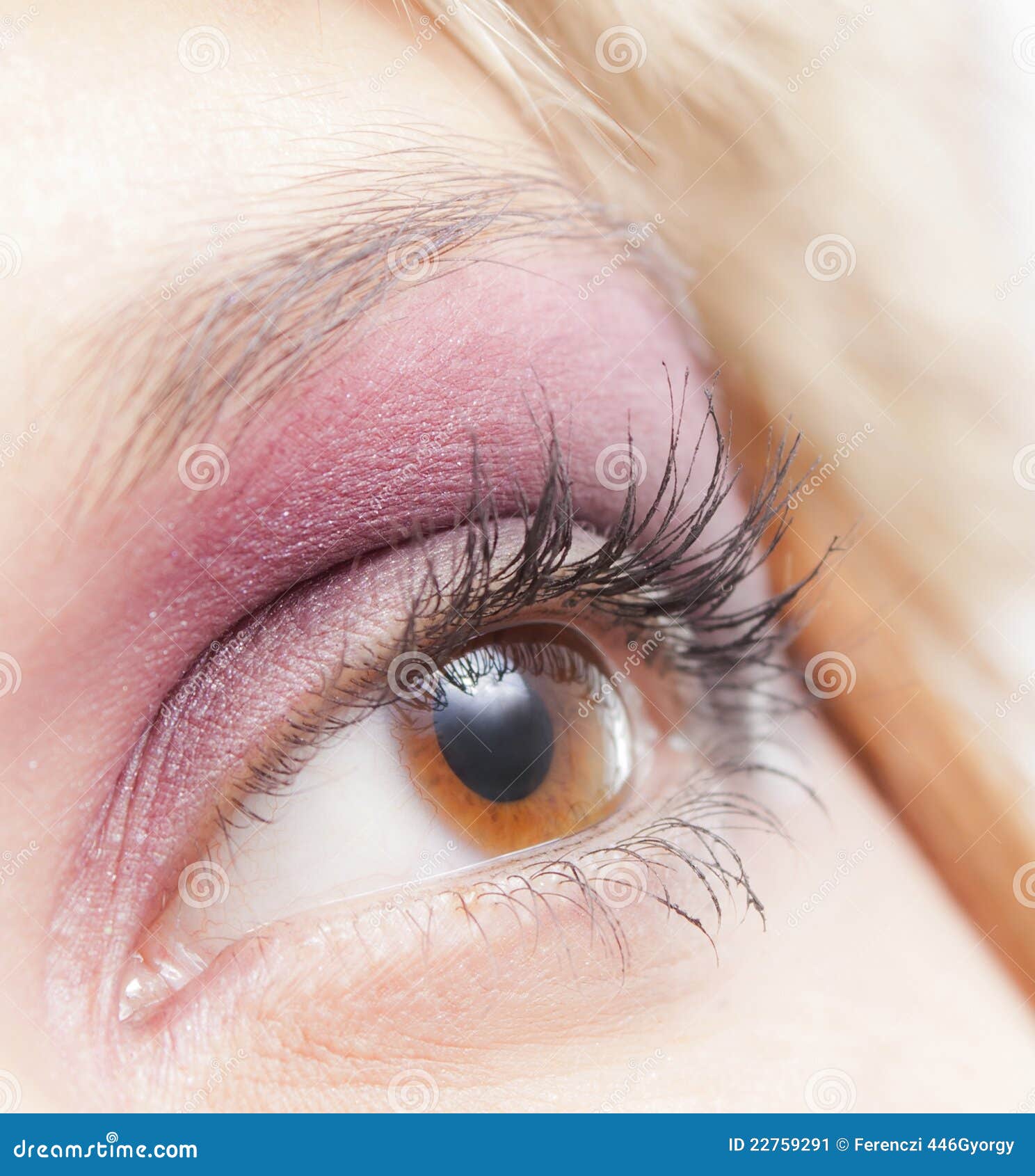 Female eye stock image. Image of eyeshadow, violet, vogue - 22759291