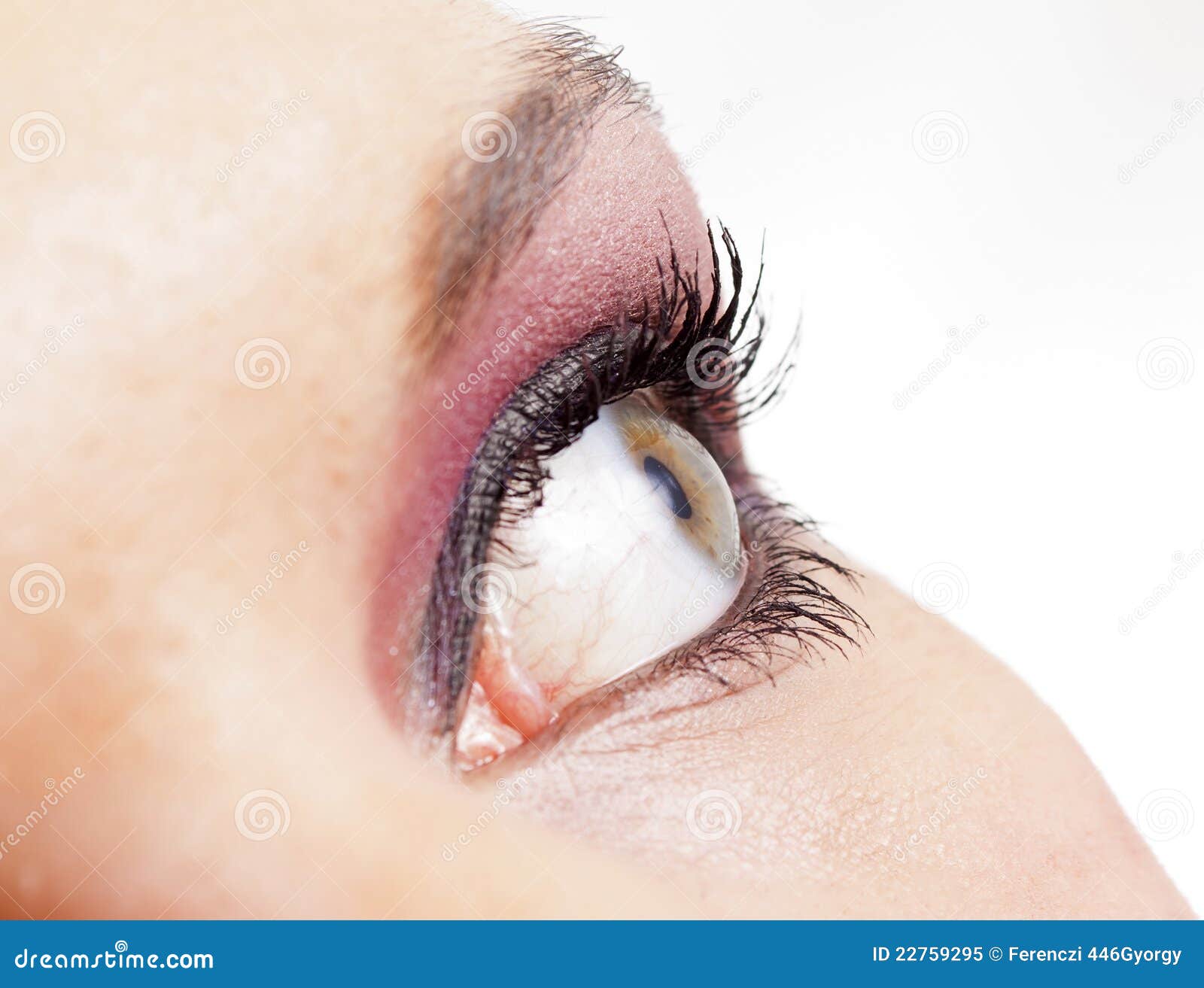 Female eye stock image. Image of style, female, shiny - 22759295