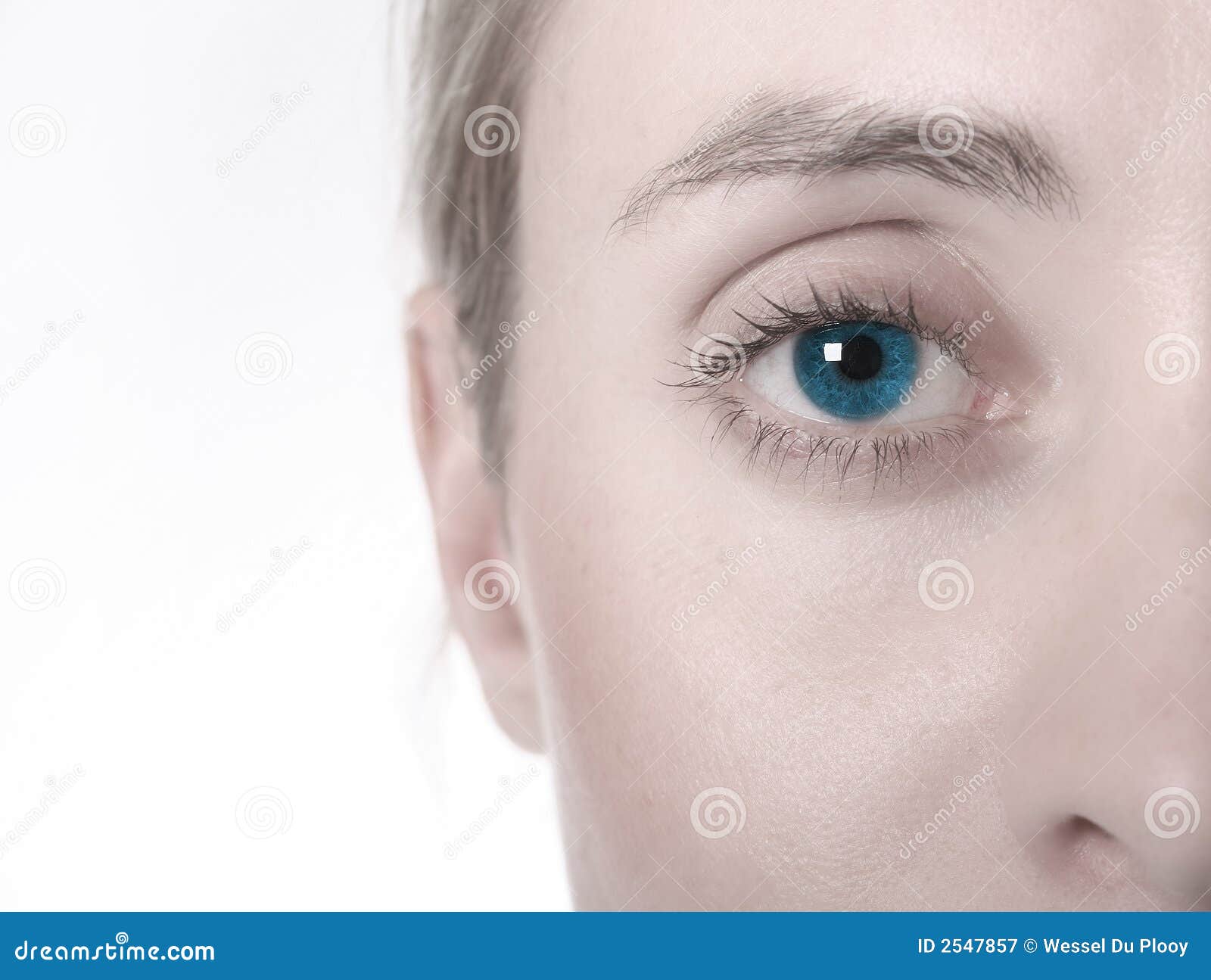 Female eye stock image. Image of psychology, light, female - 2547857