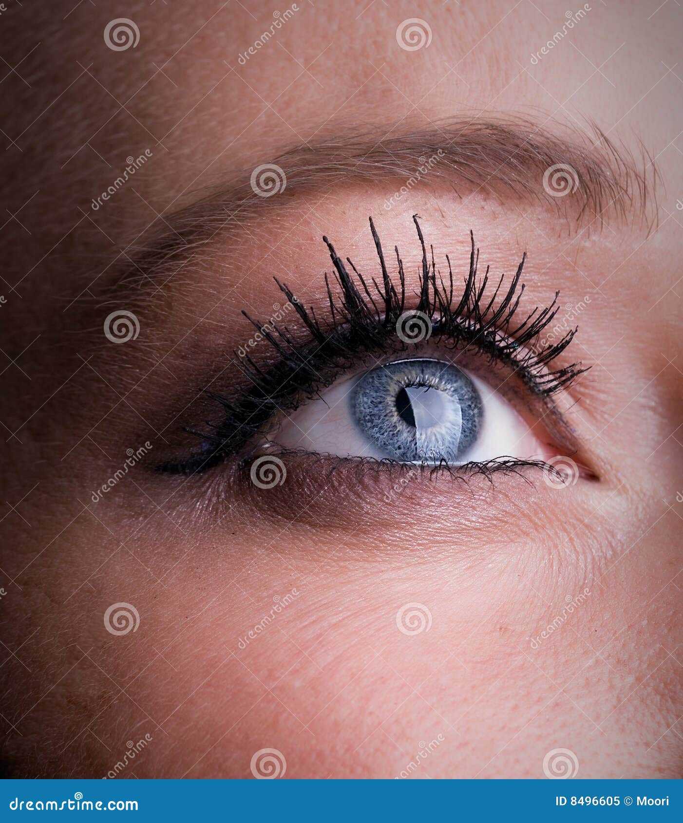 Female eye stock image. Image of attractive, female, woman - 8496605