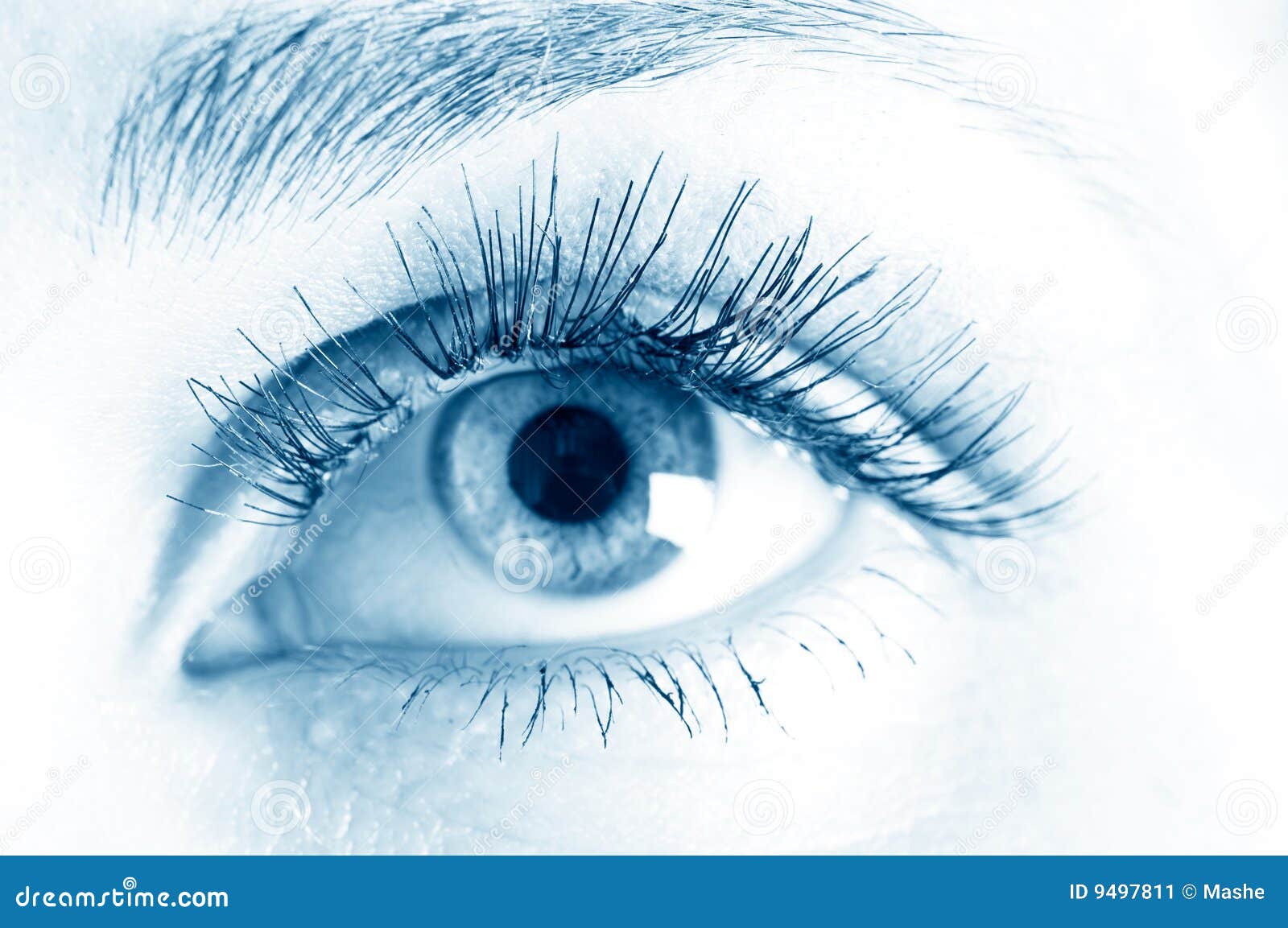 Female eye stock image. Image of color, feminine, body - 9497811