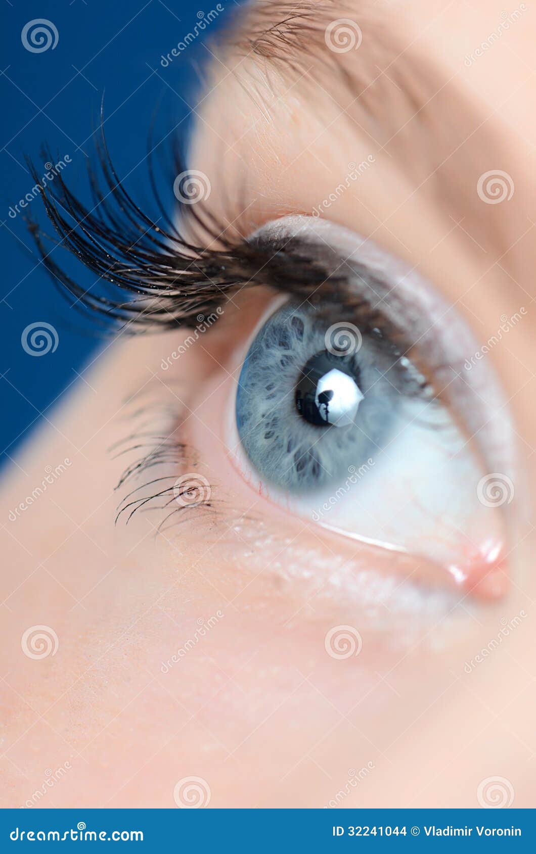 Female Eye with Long Eyelashes Stock Photo - Image of cosmetics ...