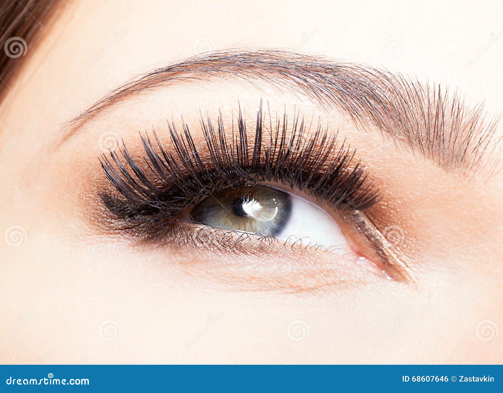 Female Eye with Long Eyelashes Stock Photo - Image of eyebrow, eyeliner ...
