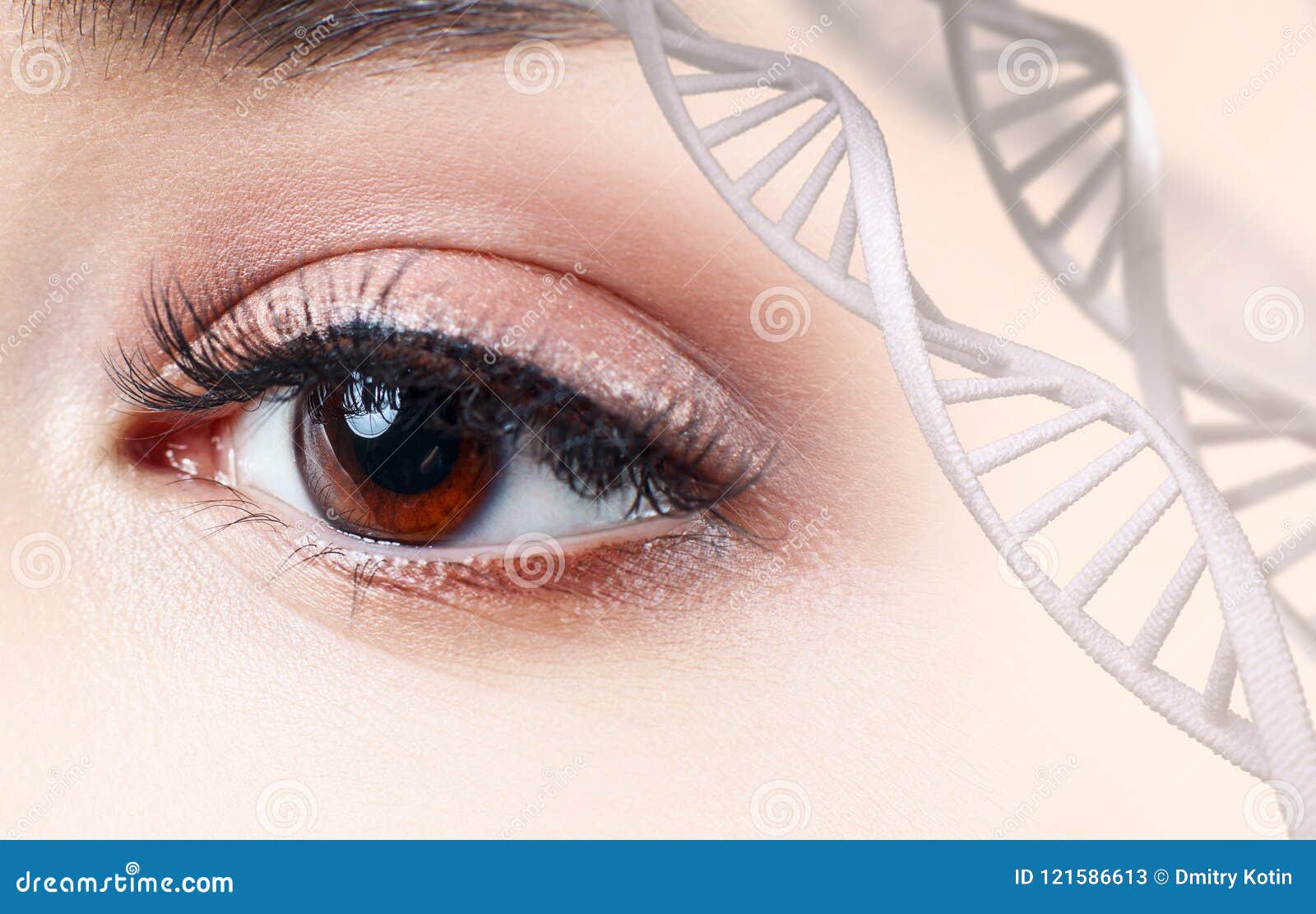 Female Eye Looking from DNA Chains. Stock Image - Image of helix ...
