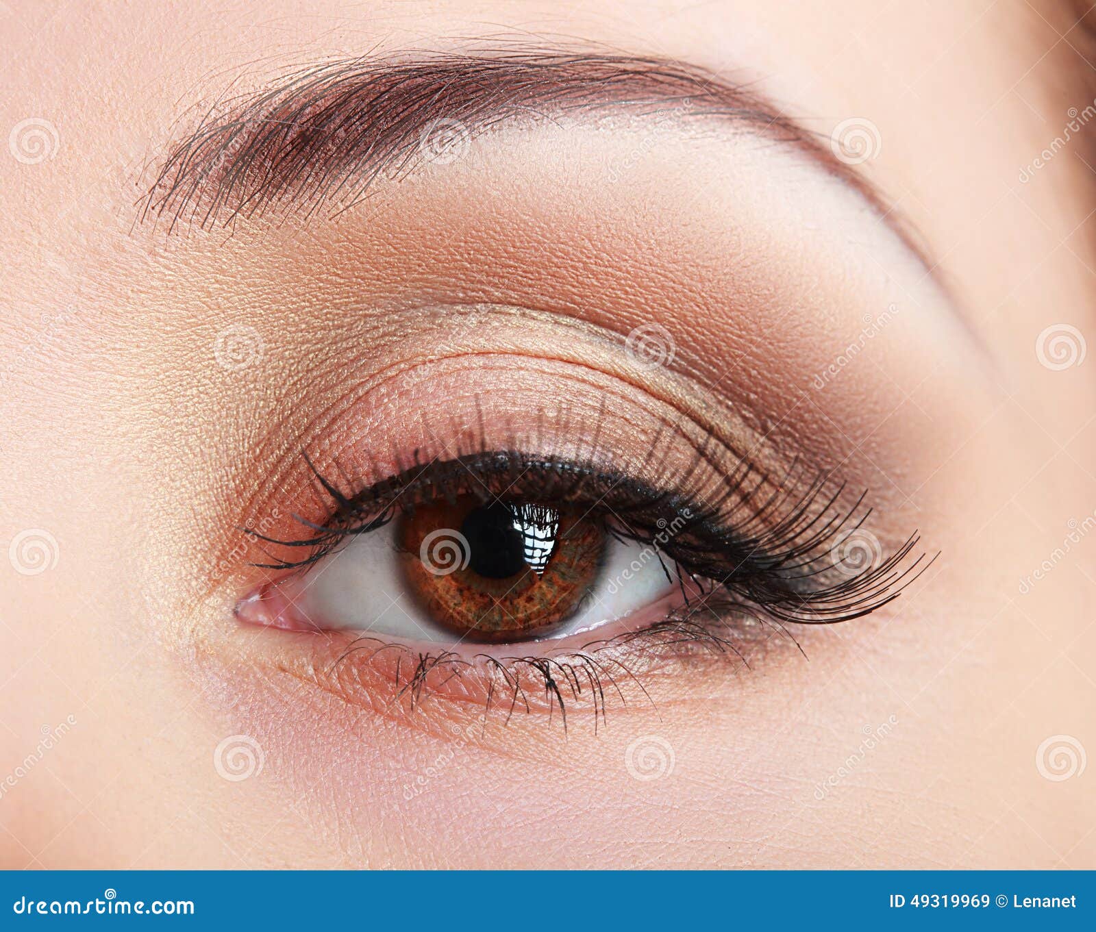 Female eye stock image. Image of model, european, camera - 49319969