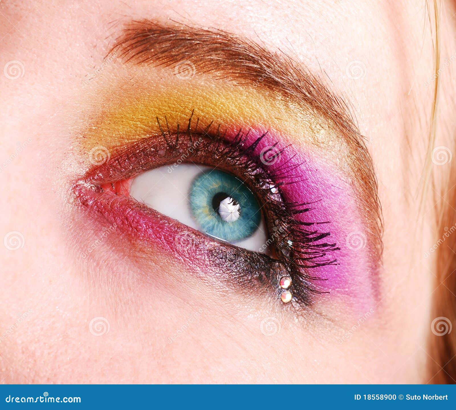 Female eye with make up stock photo. Image of girls, body - 18558900