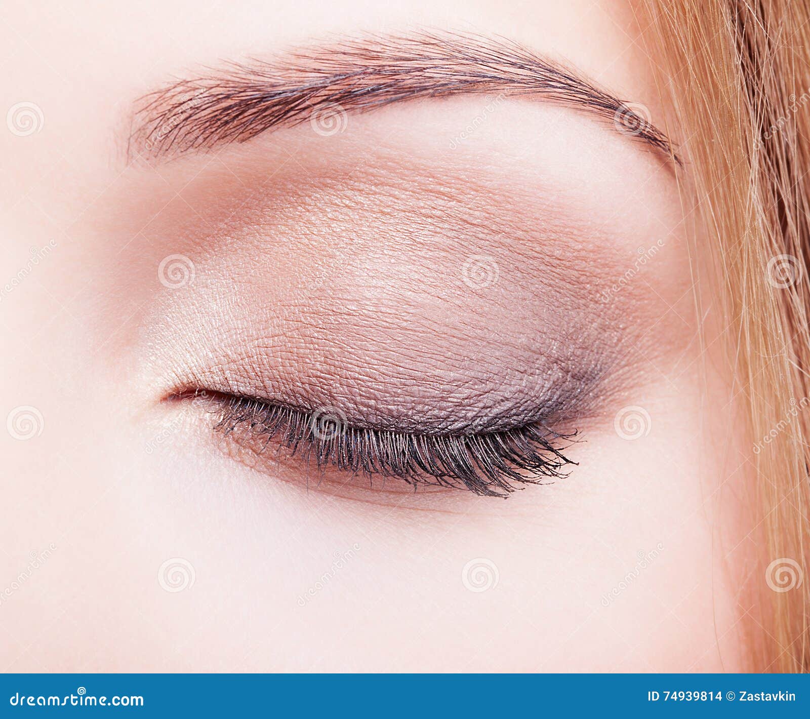 Female Eye Zone and Brows with Day Makeup Stock Photo - Image of ...