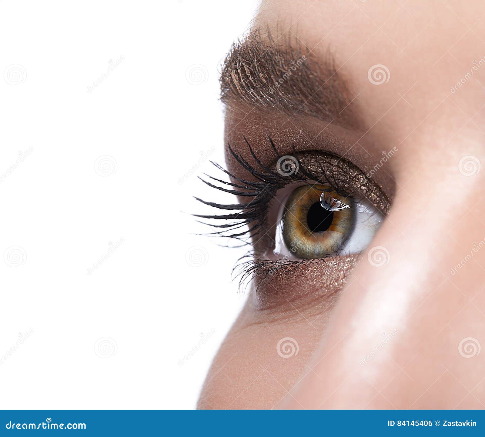 Female Eye Zone and Brows with Day Makeup Stock Photo - Image of ...