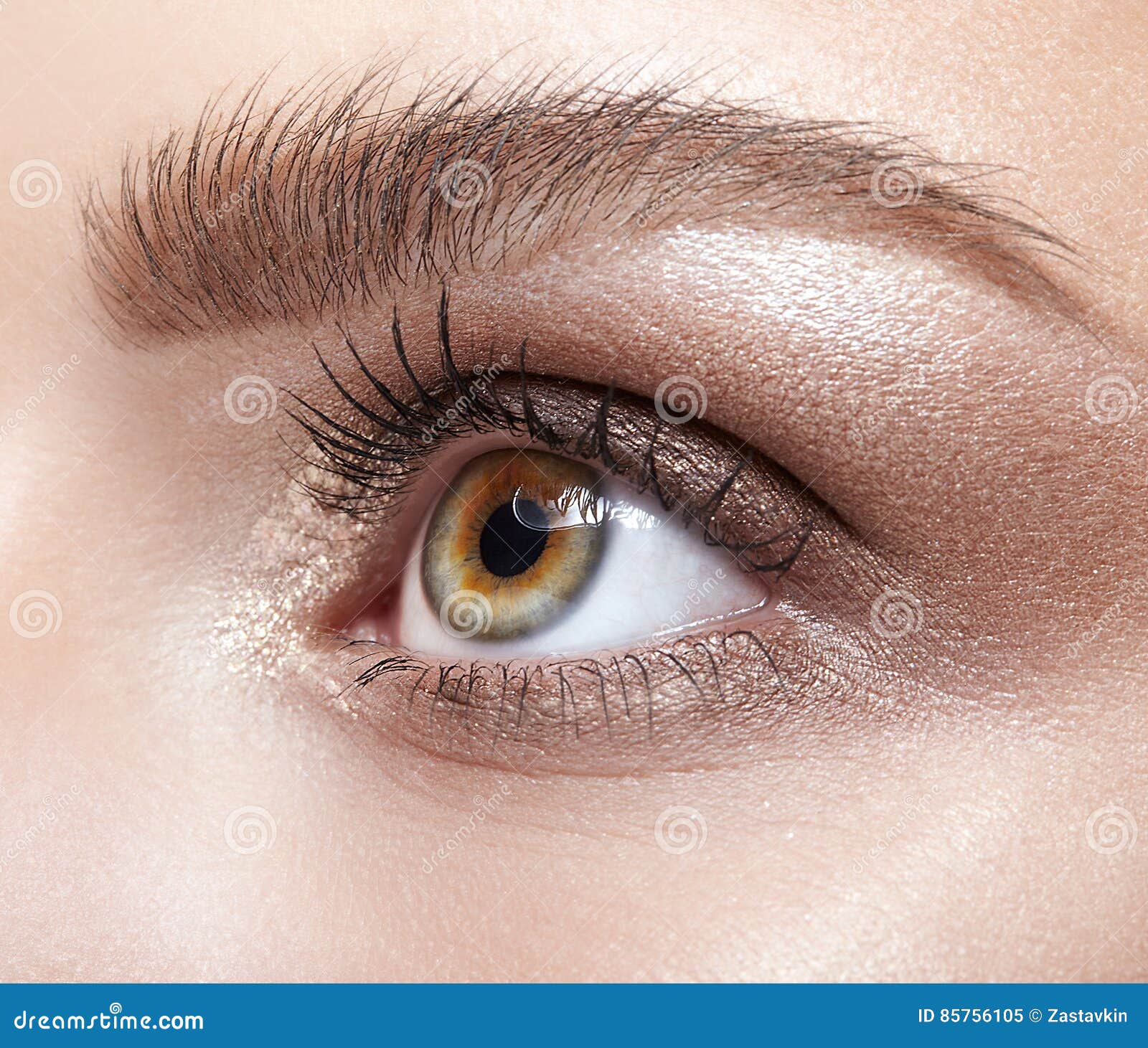 Female Eye Zone and Brows with Day Makeup Stock Image - Image of people ...